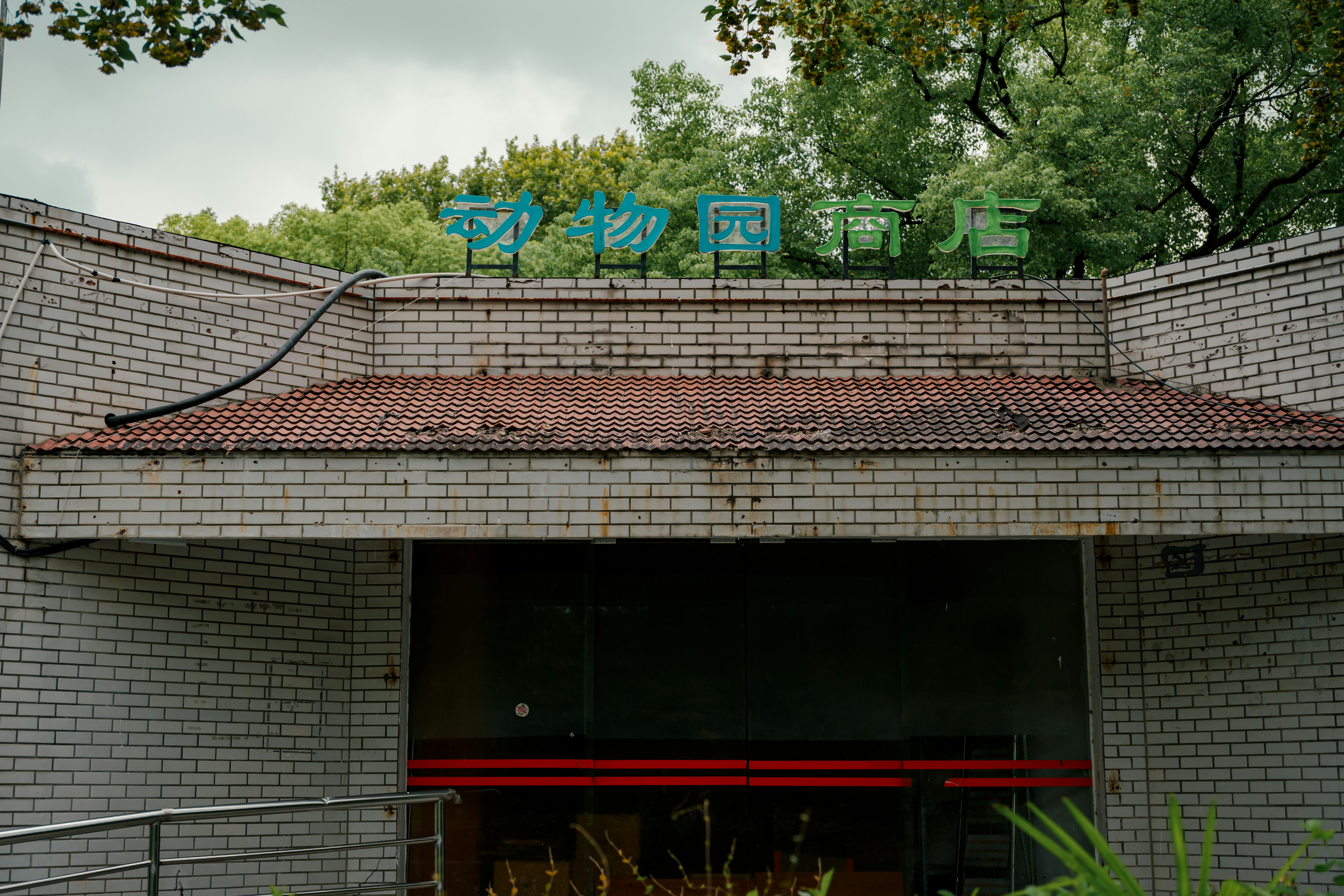 Whispers of Nature: An Abandoned Haven