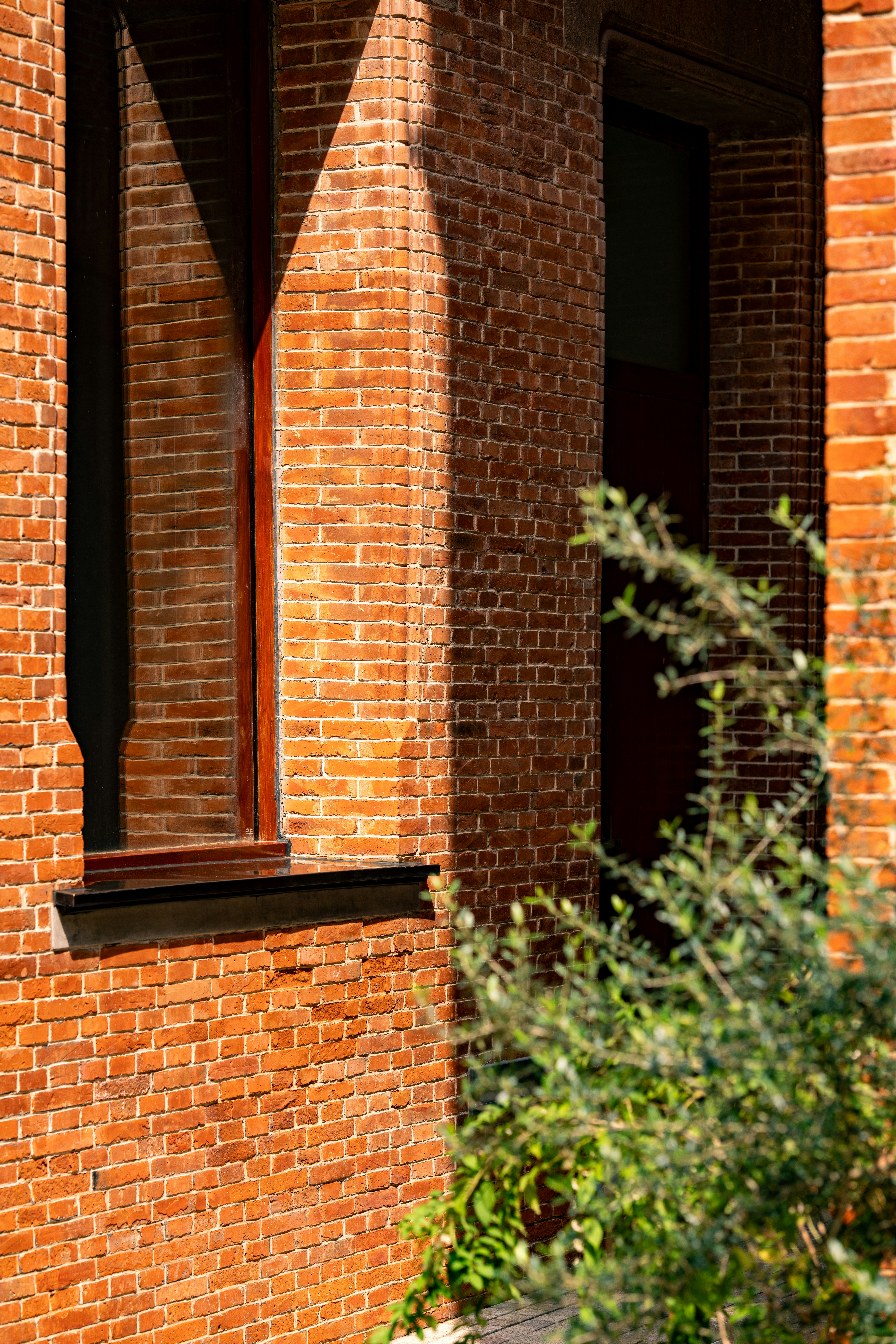 Red brick building with window and green plant
