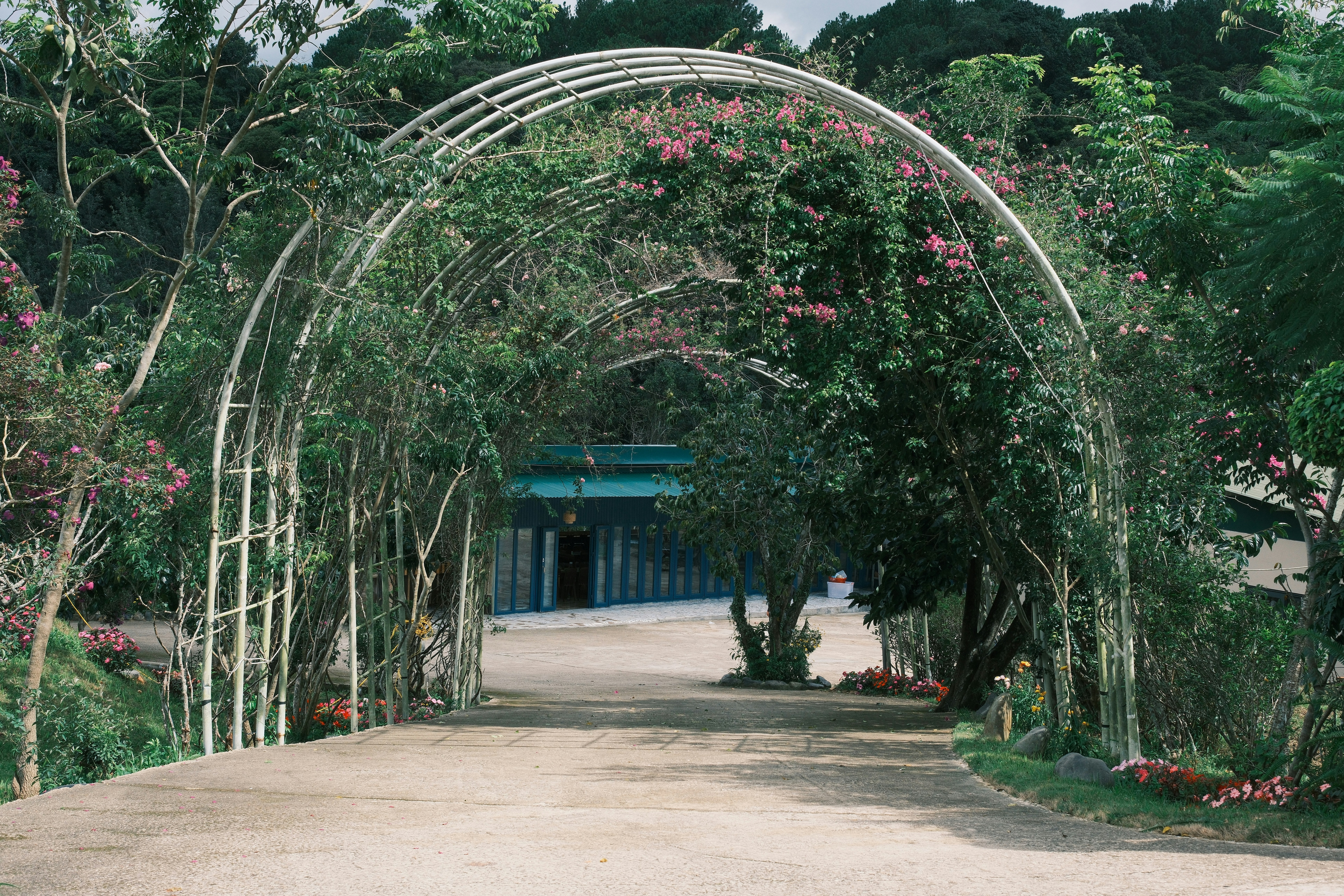 Whispers of Nature: A Floral Gateway