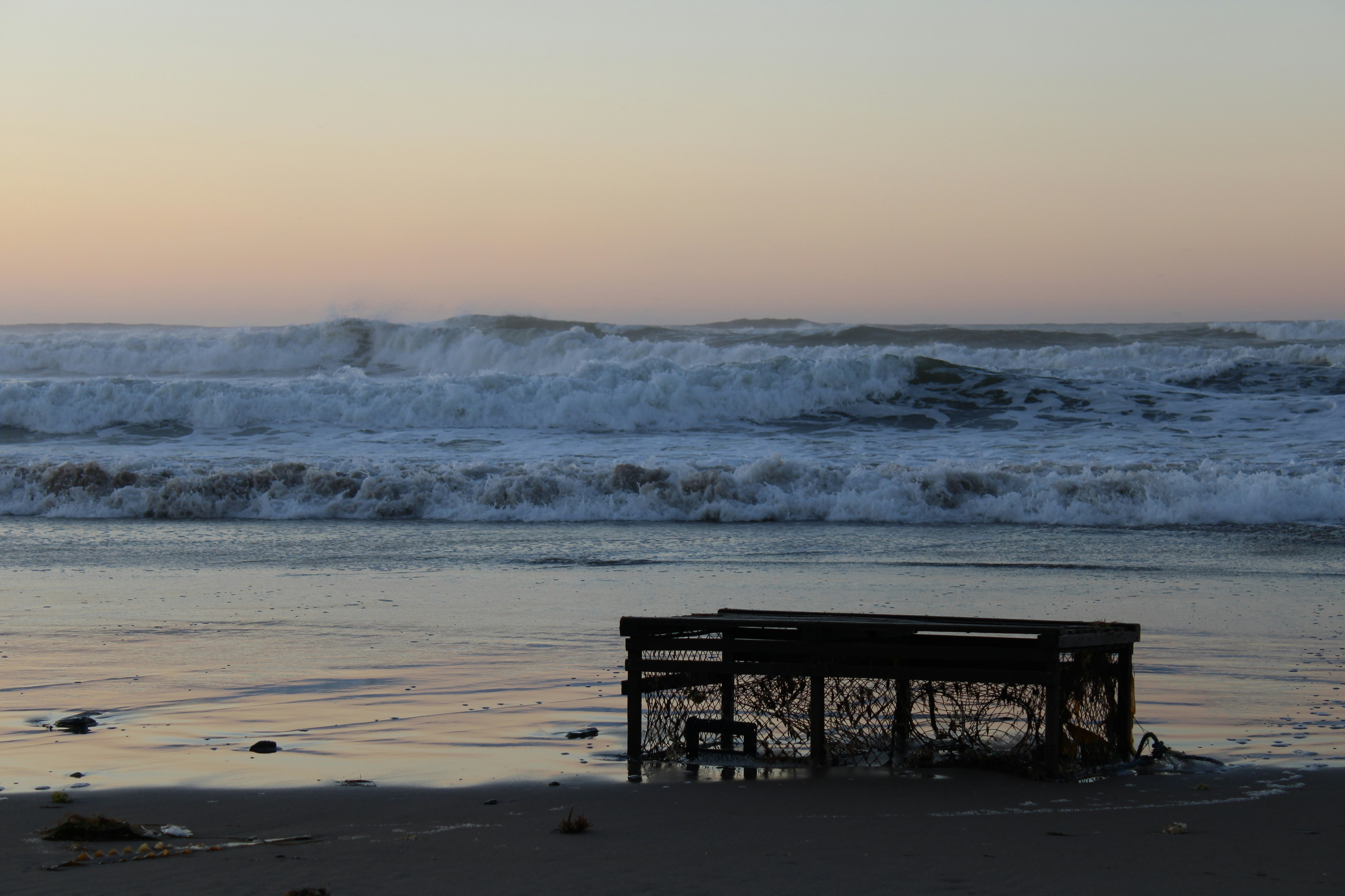 Whispers of the Tides: A Forgotten Bench