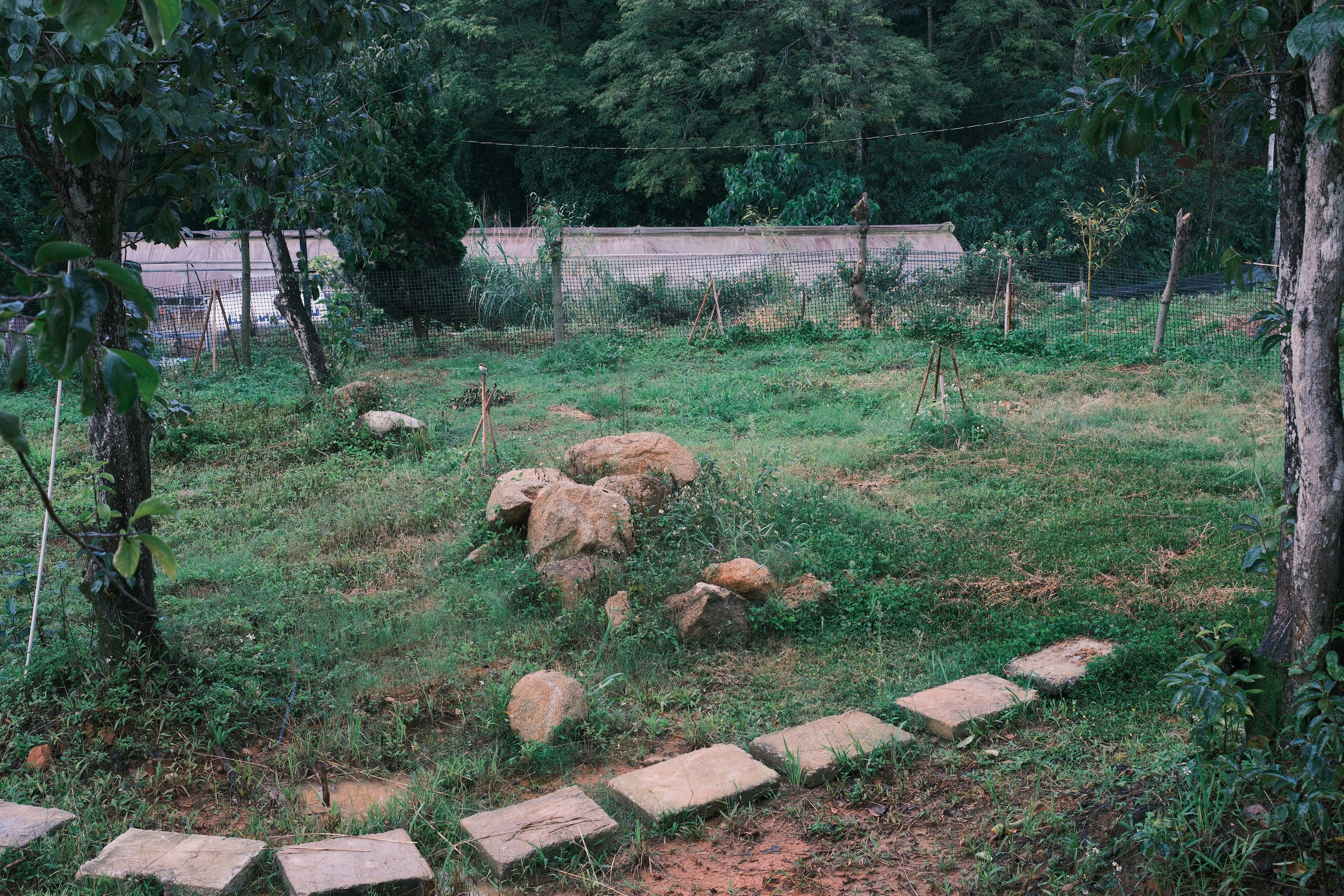 Stone Steps Draw the Eye Toward a Quiet Rock Garden
