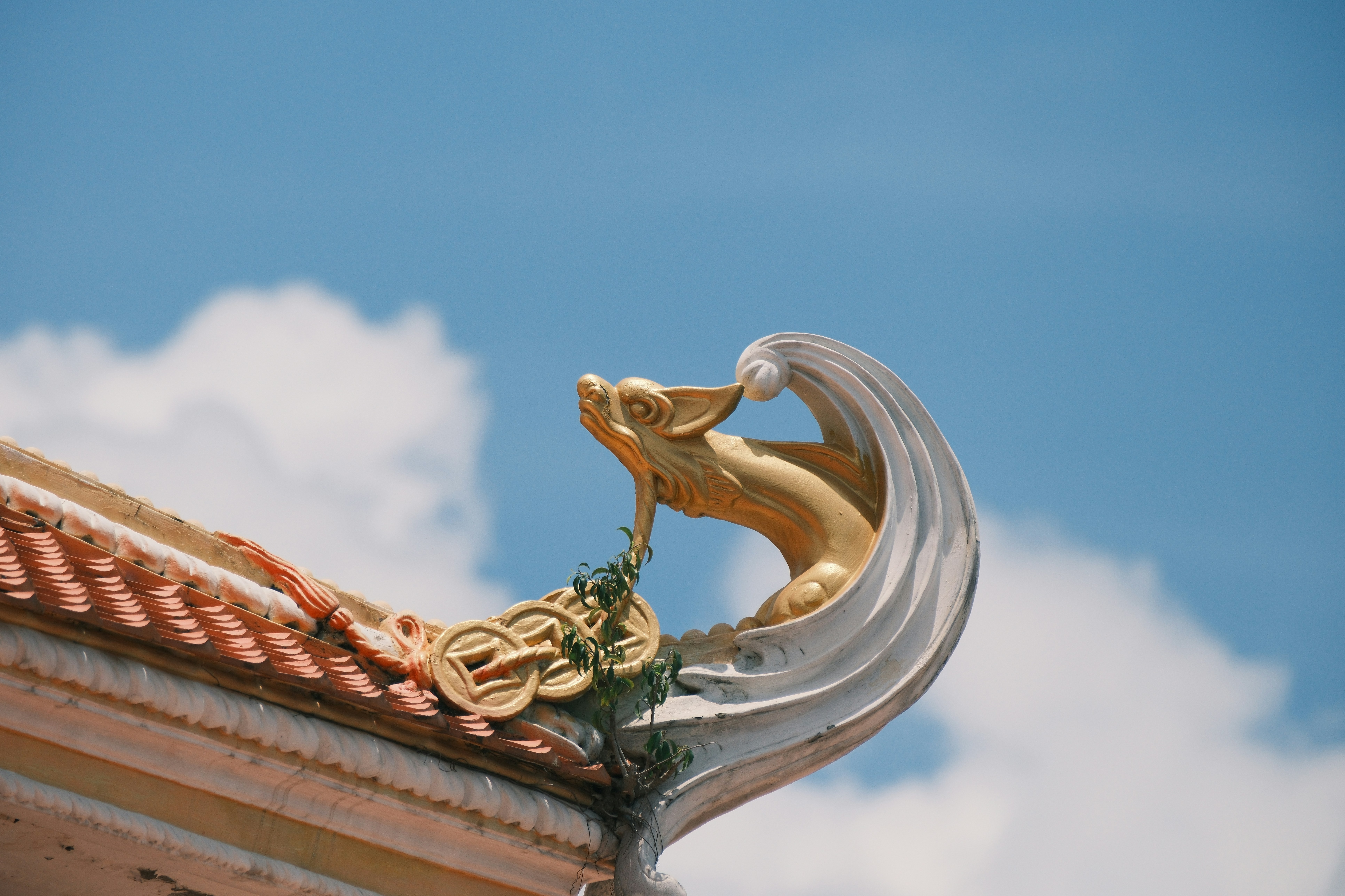 Whispers of Tradition: The Golden Dragon's Embrace