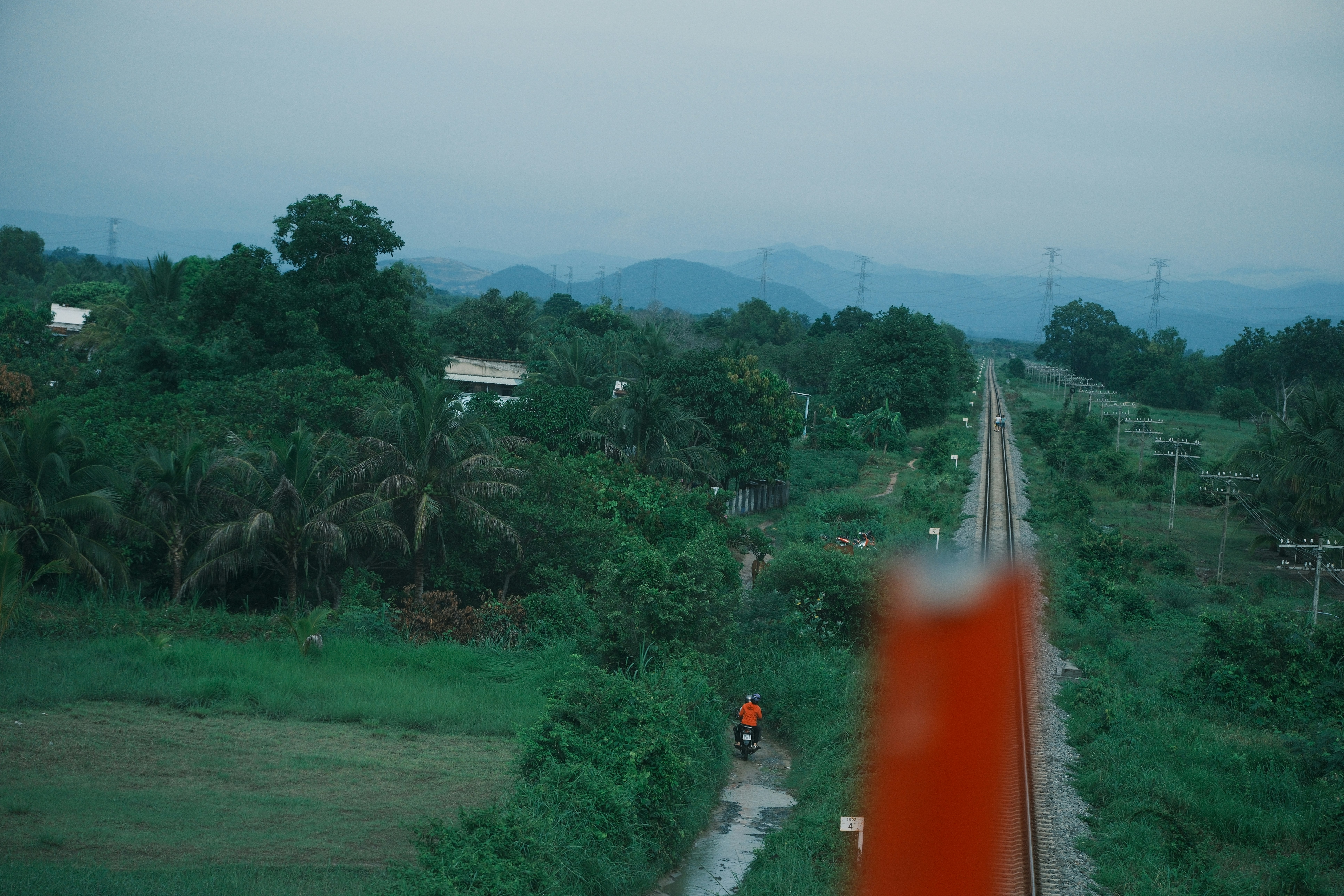 Journey Through Verdant Vistas