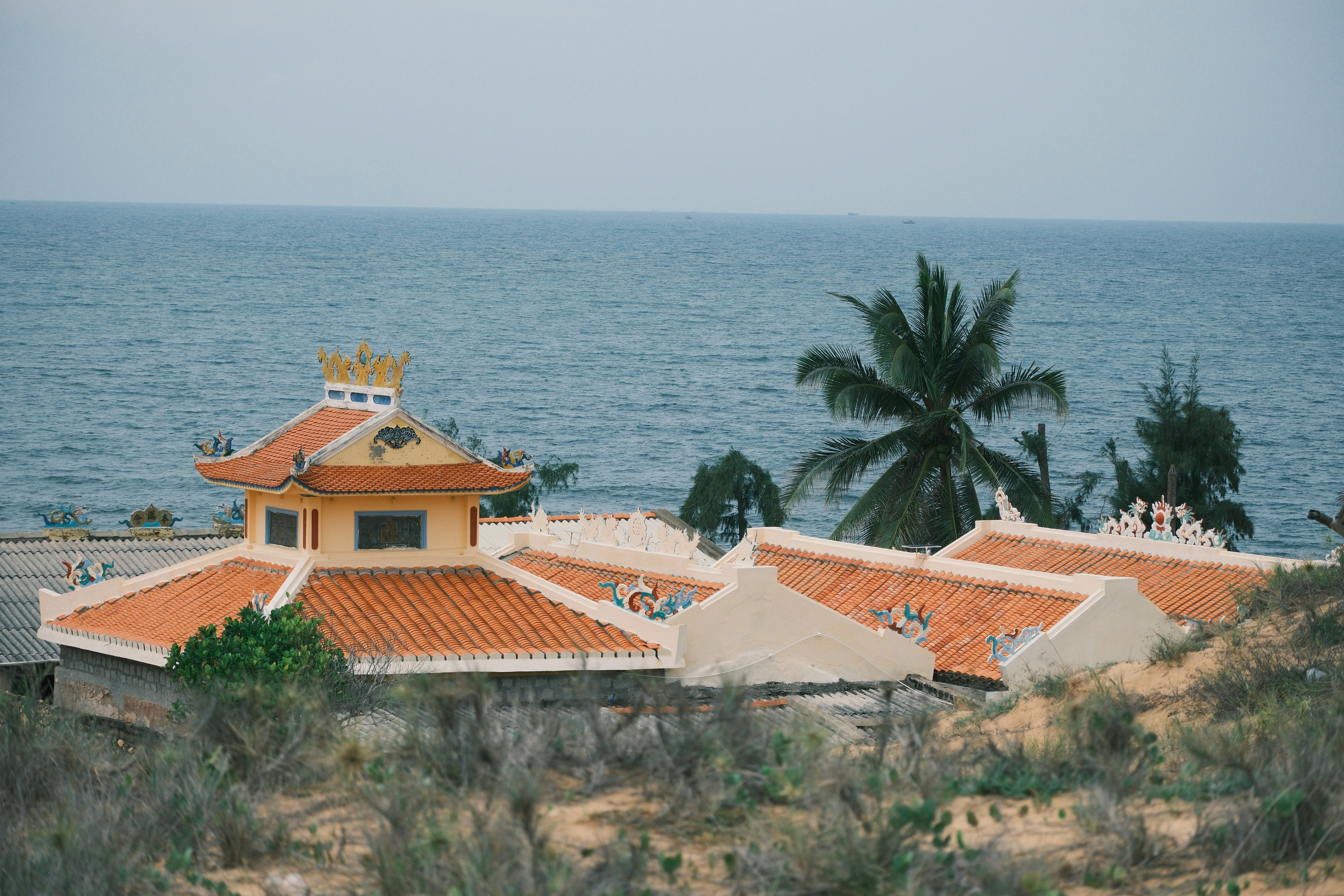 Traditional asian buildings by the ocean with palm trees.