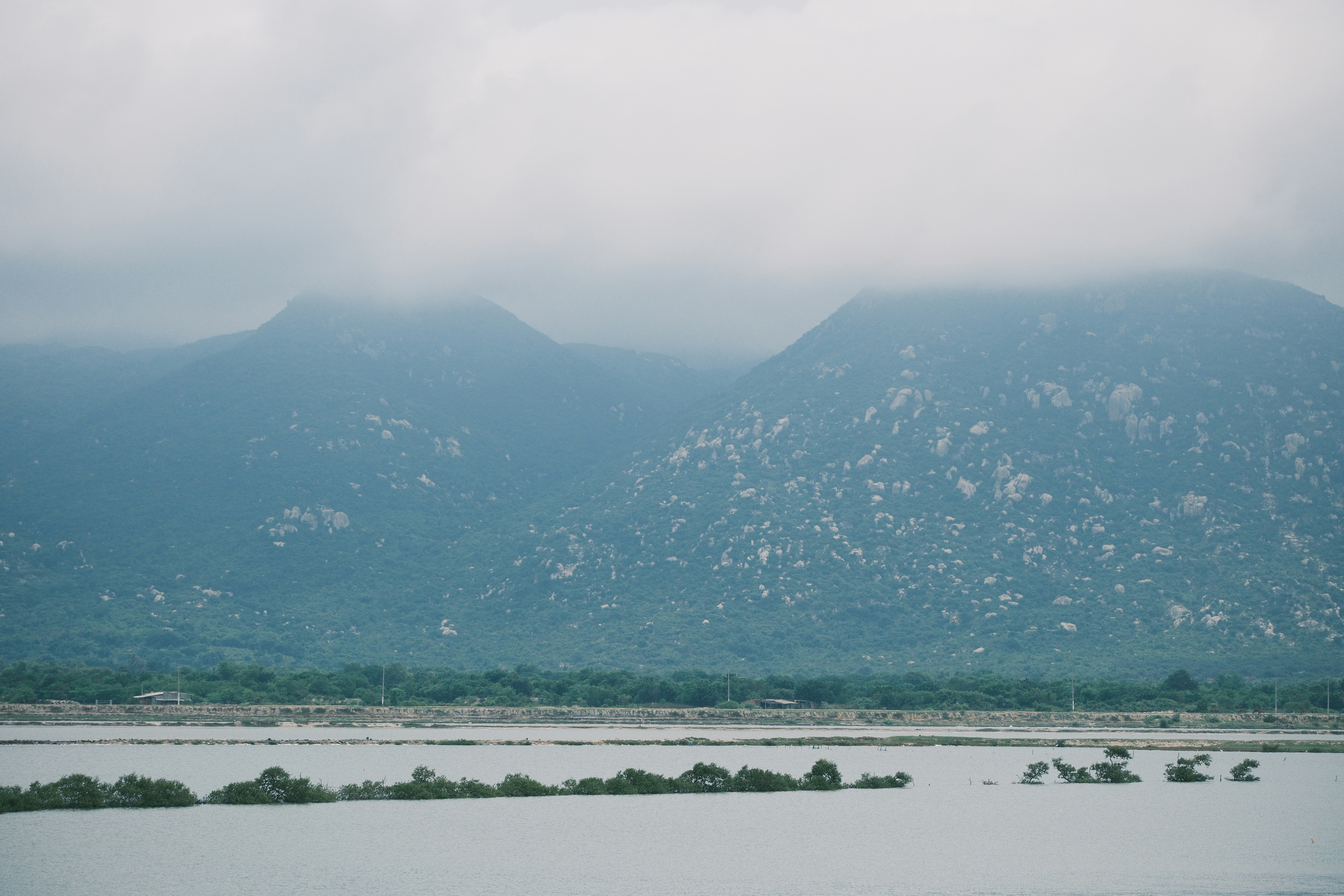 Whispers of the Misty Mountains