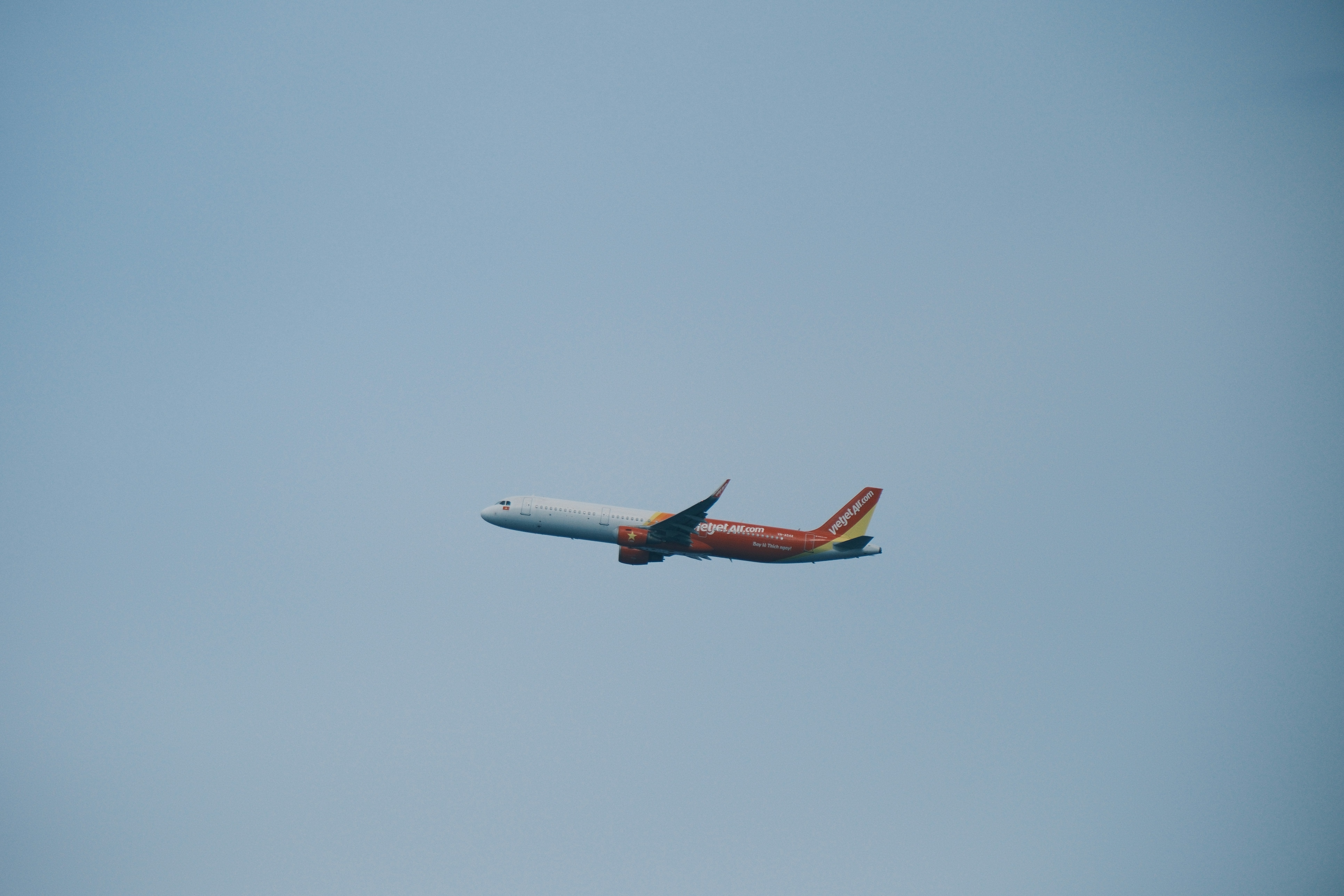 Soaring Through the Azure