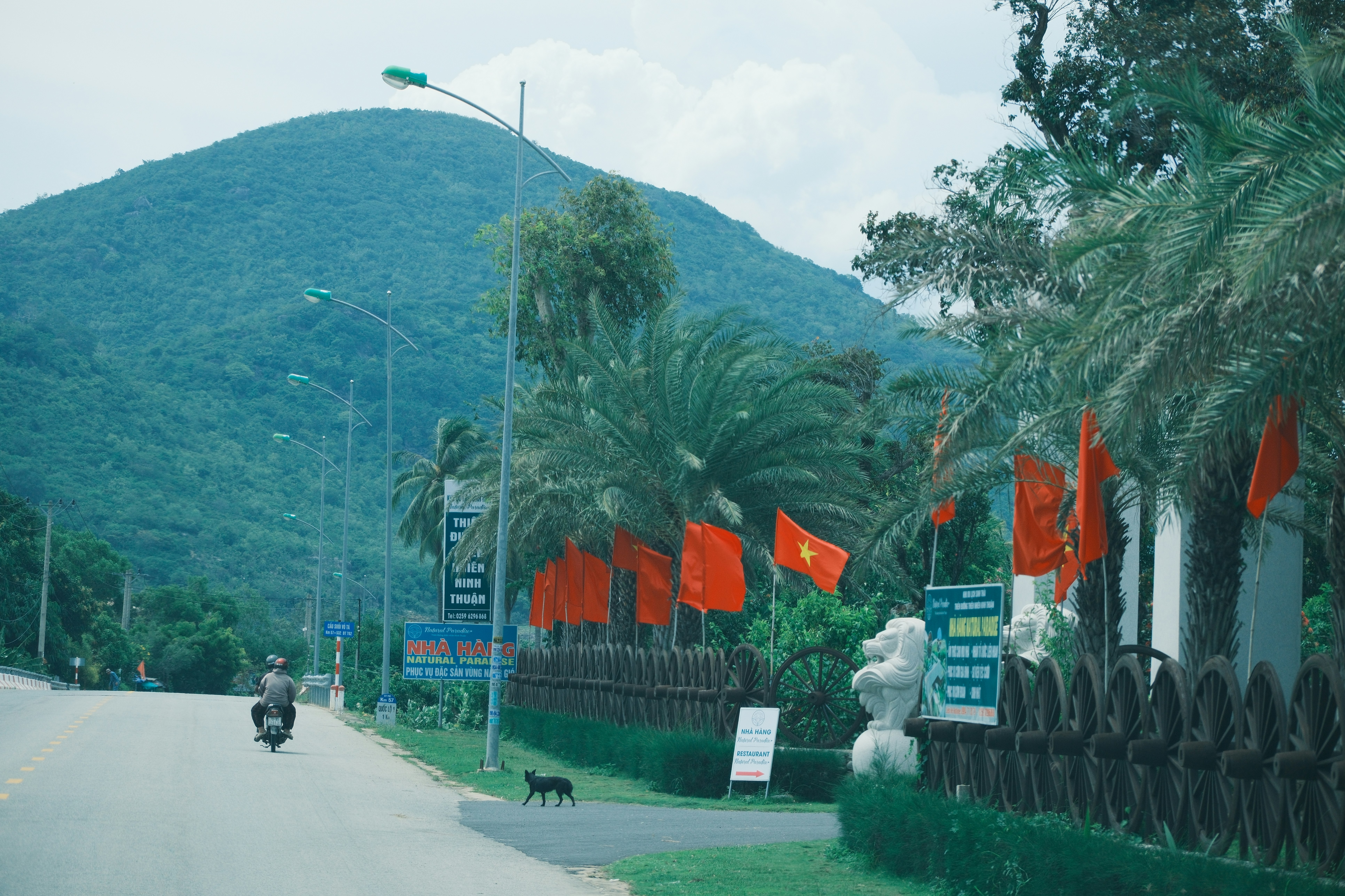 Journey Through Verdant Valleys: A Roadside Encounter