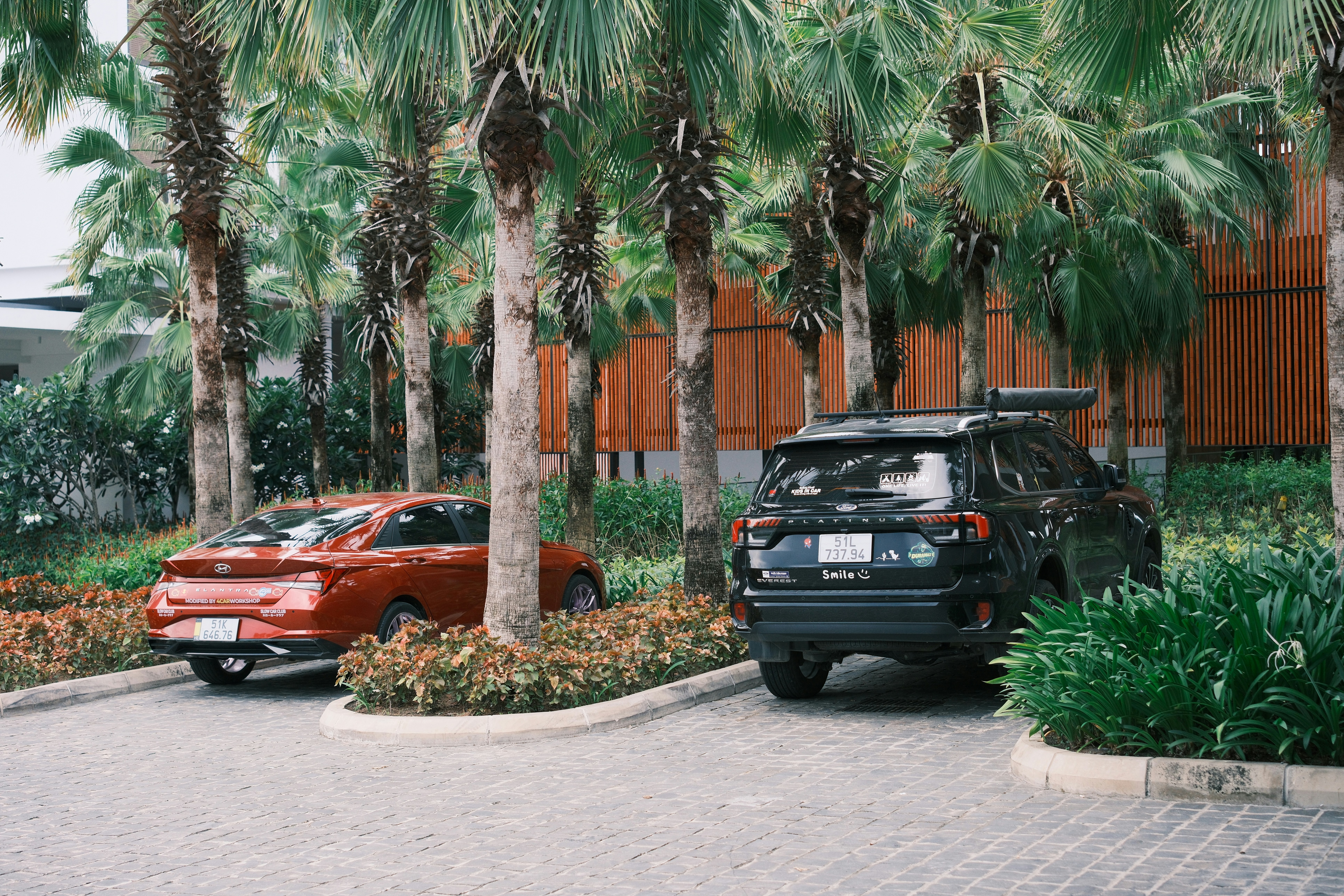 Urban Oasis: A Serene Parking Retreat