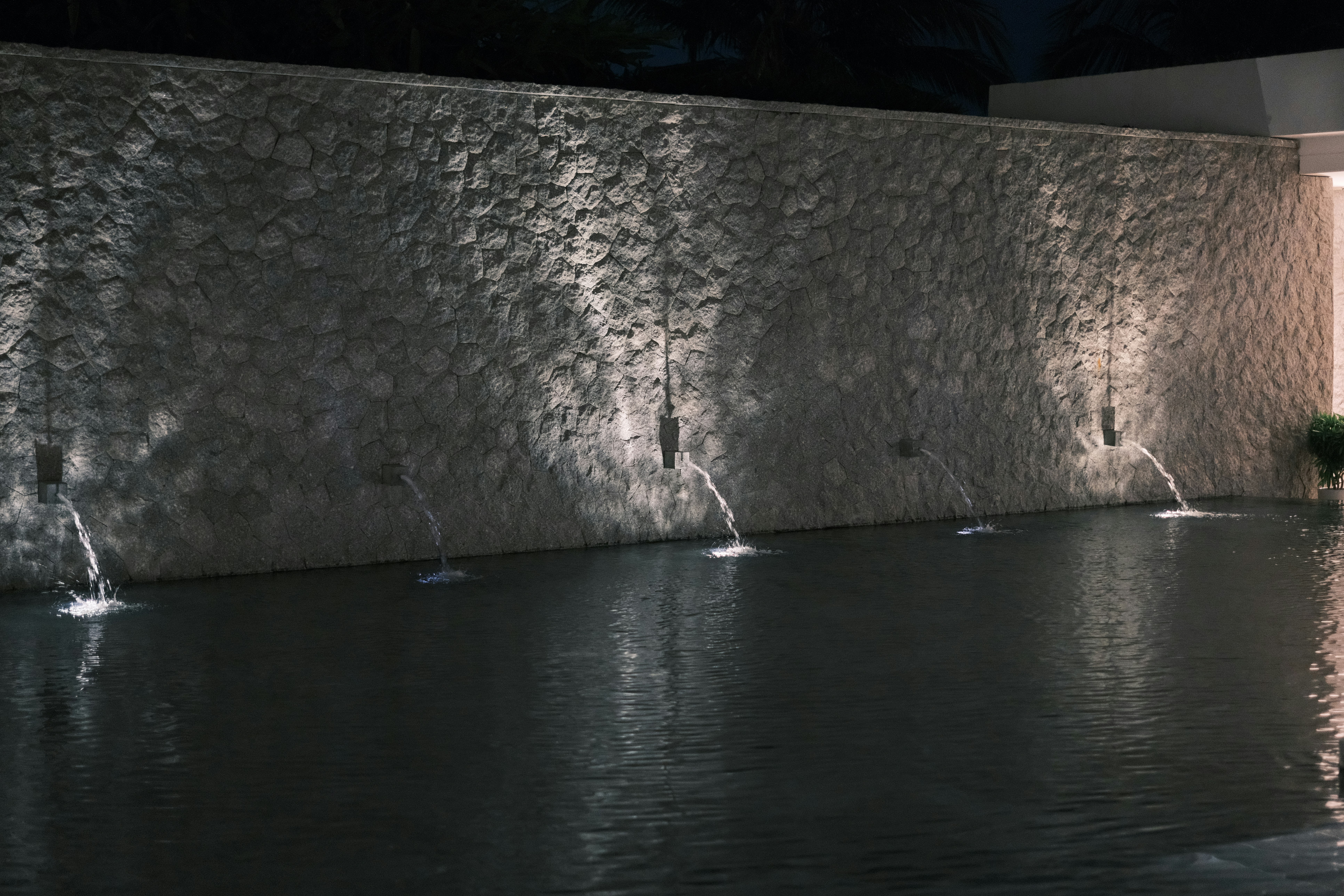 Reflections of Serenity: Water and Light Dance
