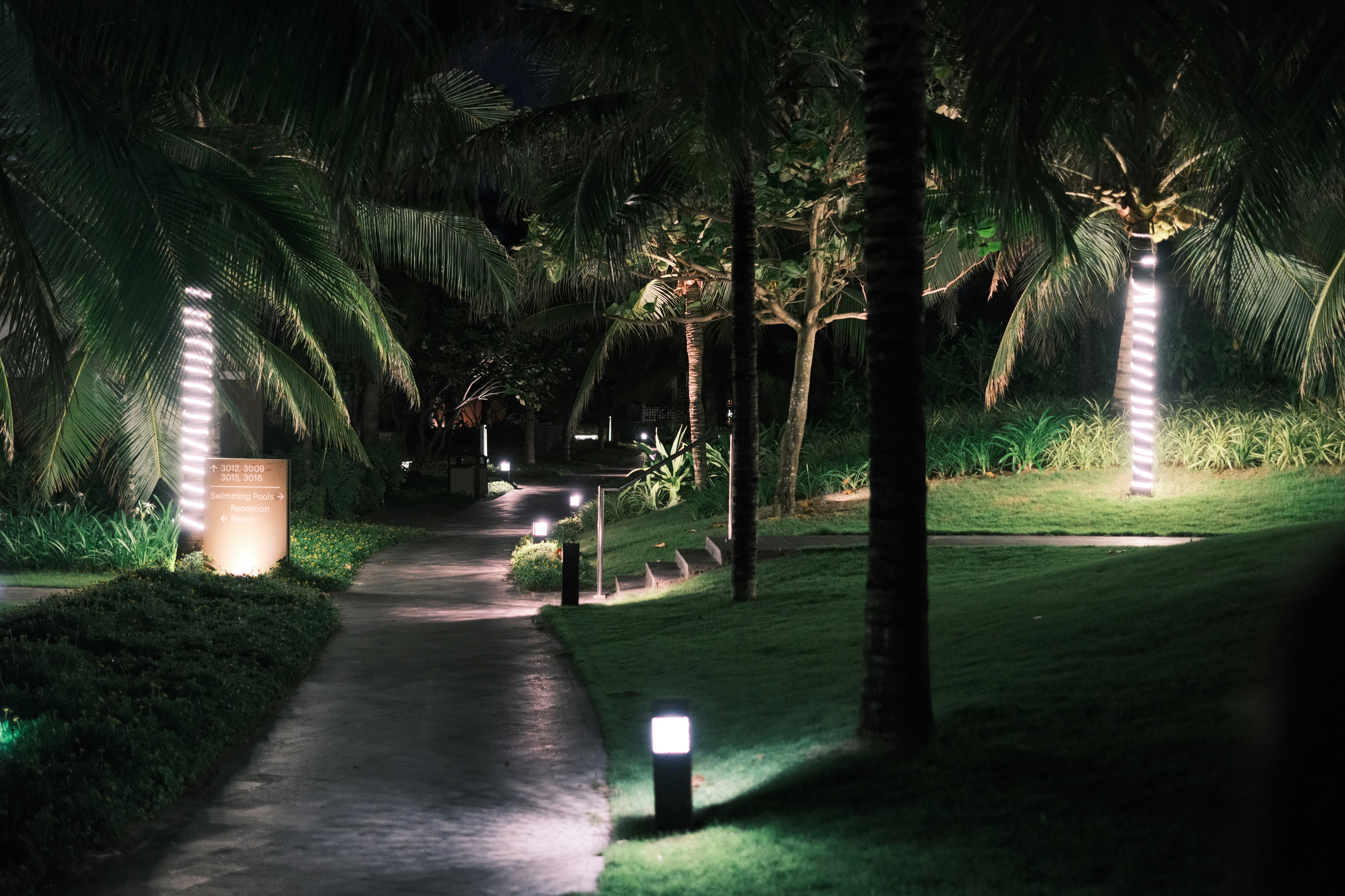 Serene pathway illuminated by soft lights, surrounded by lush greenery and palm trees at night.