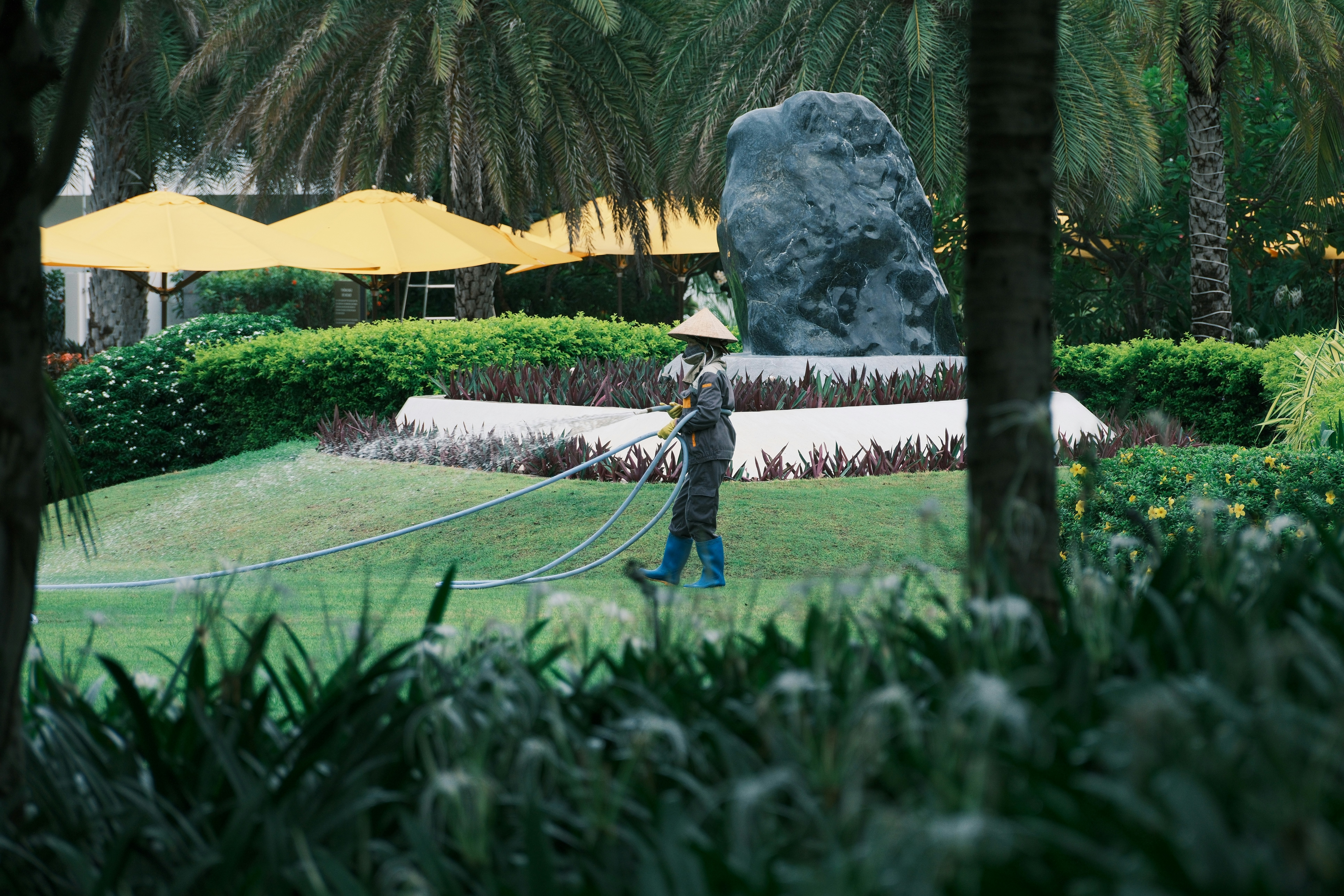 Lawnworker in a sunlit garden tending to hoses near a sculpted rock