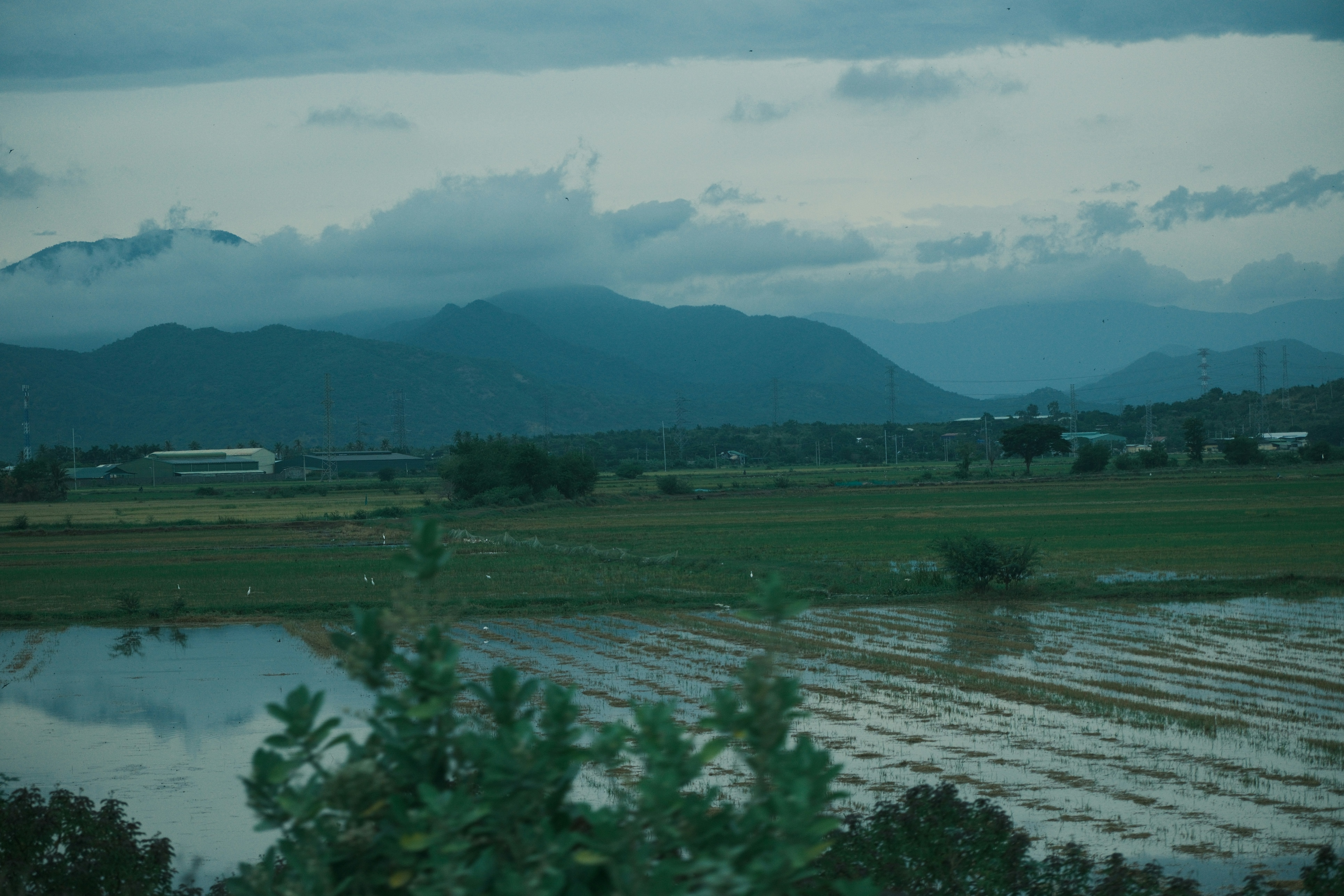 Misty mountains overlook flooded rice paddies at dusk.