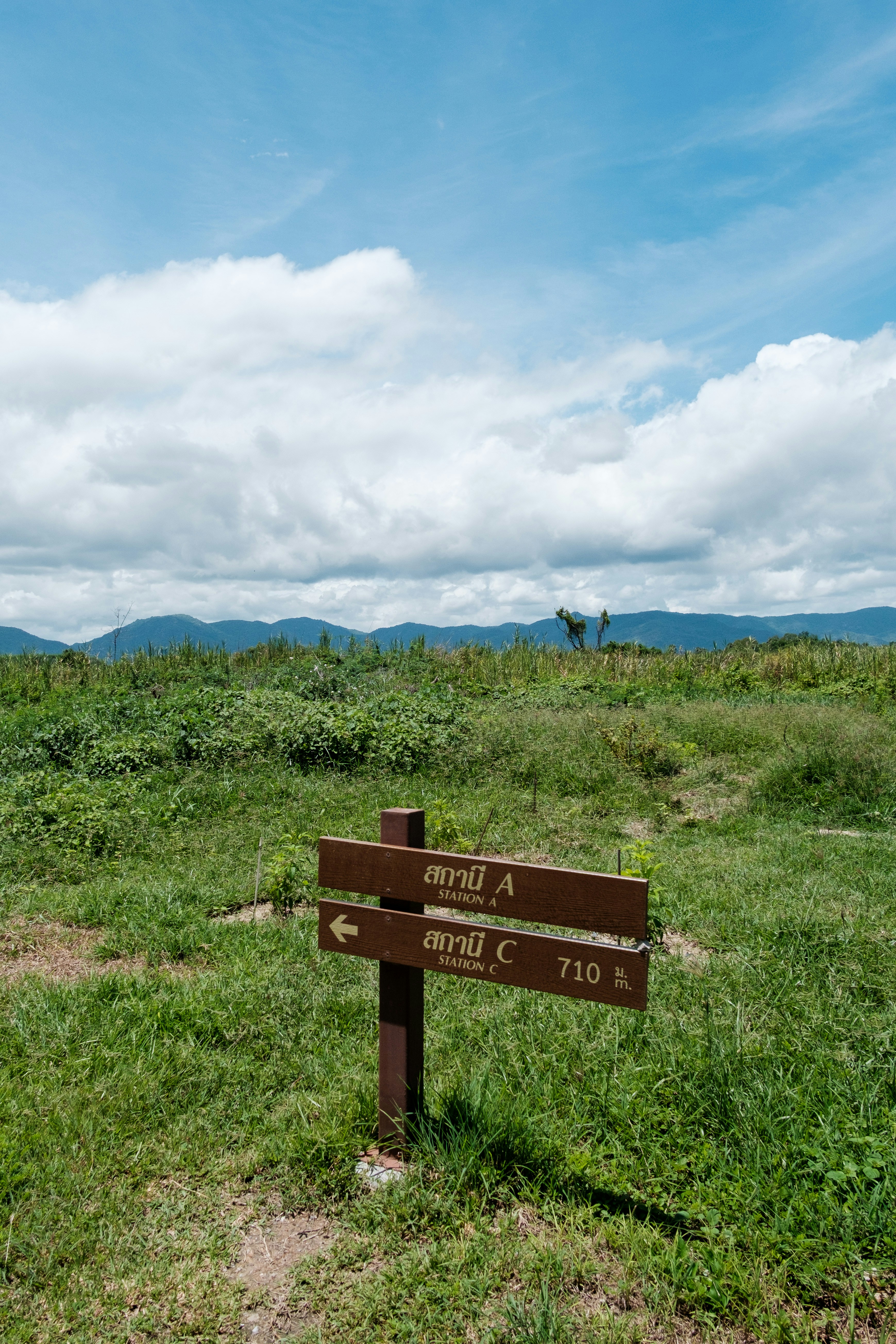 Navigational Crossroads in Nature's Embrace