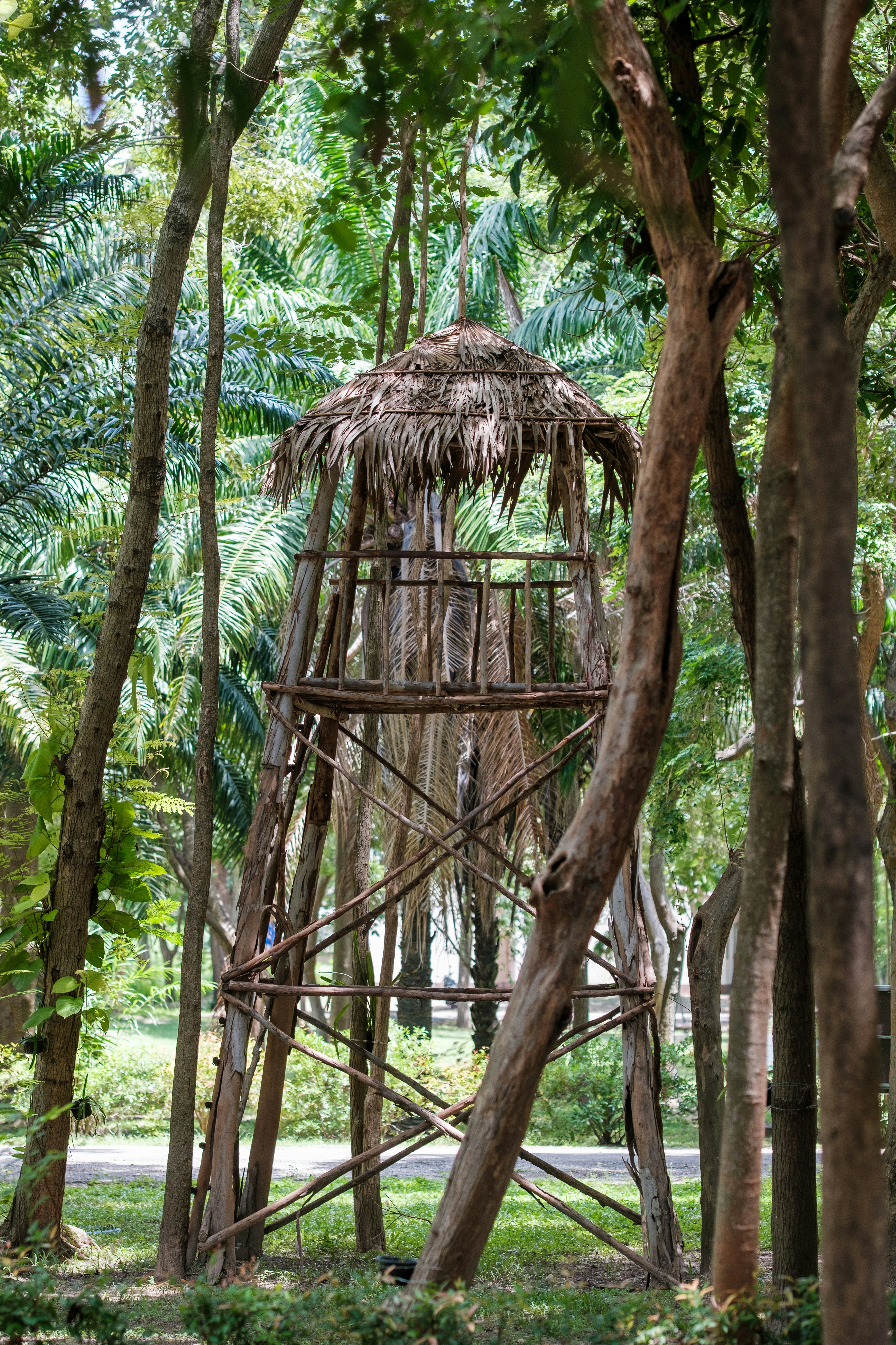 Thatched Watchtower Rising Through a Corridor of Trees