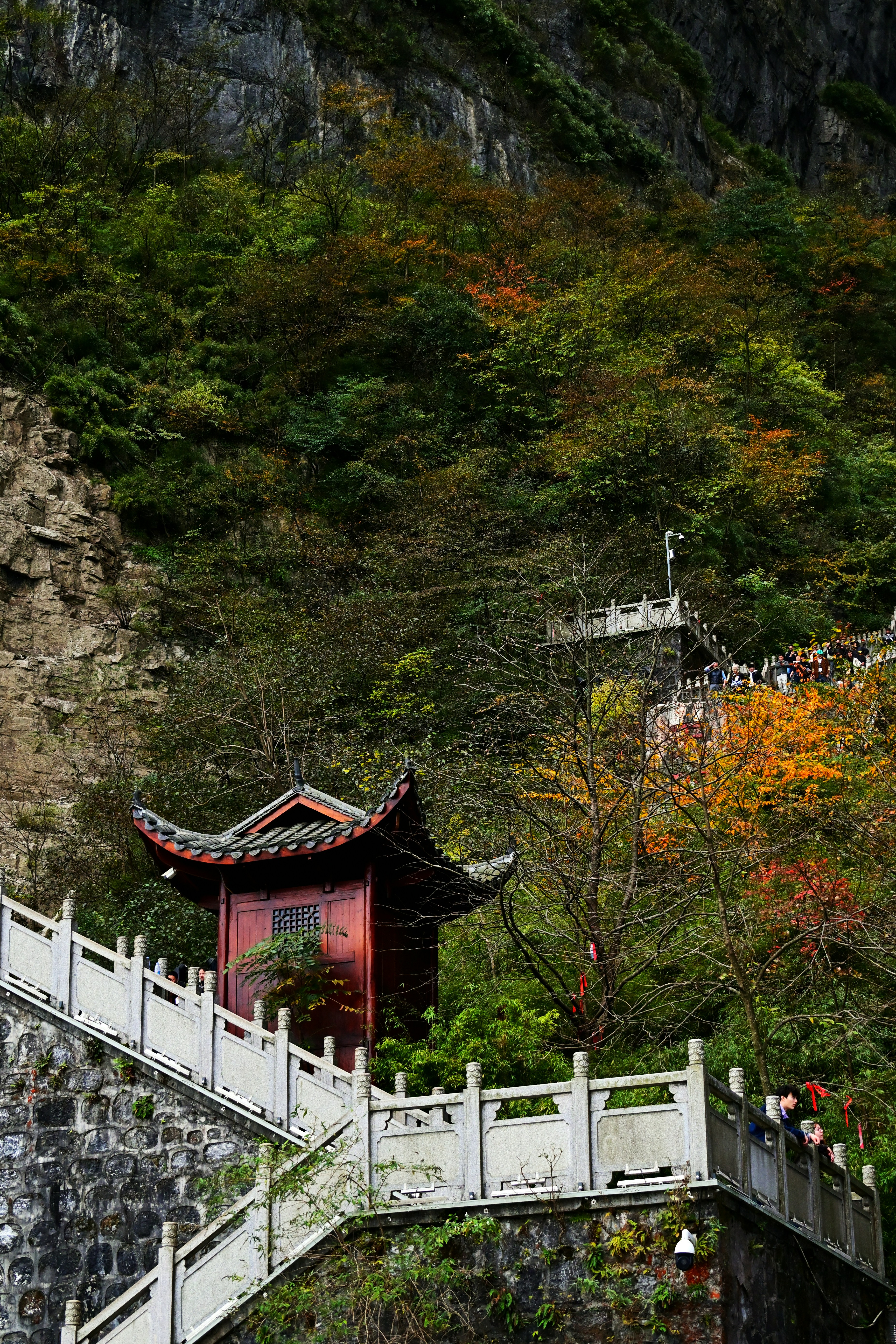 Traditional red pavilion nestled among vibrant autumn foliage on a winding staircase, showcasing the serene blend of architecture and nature.