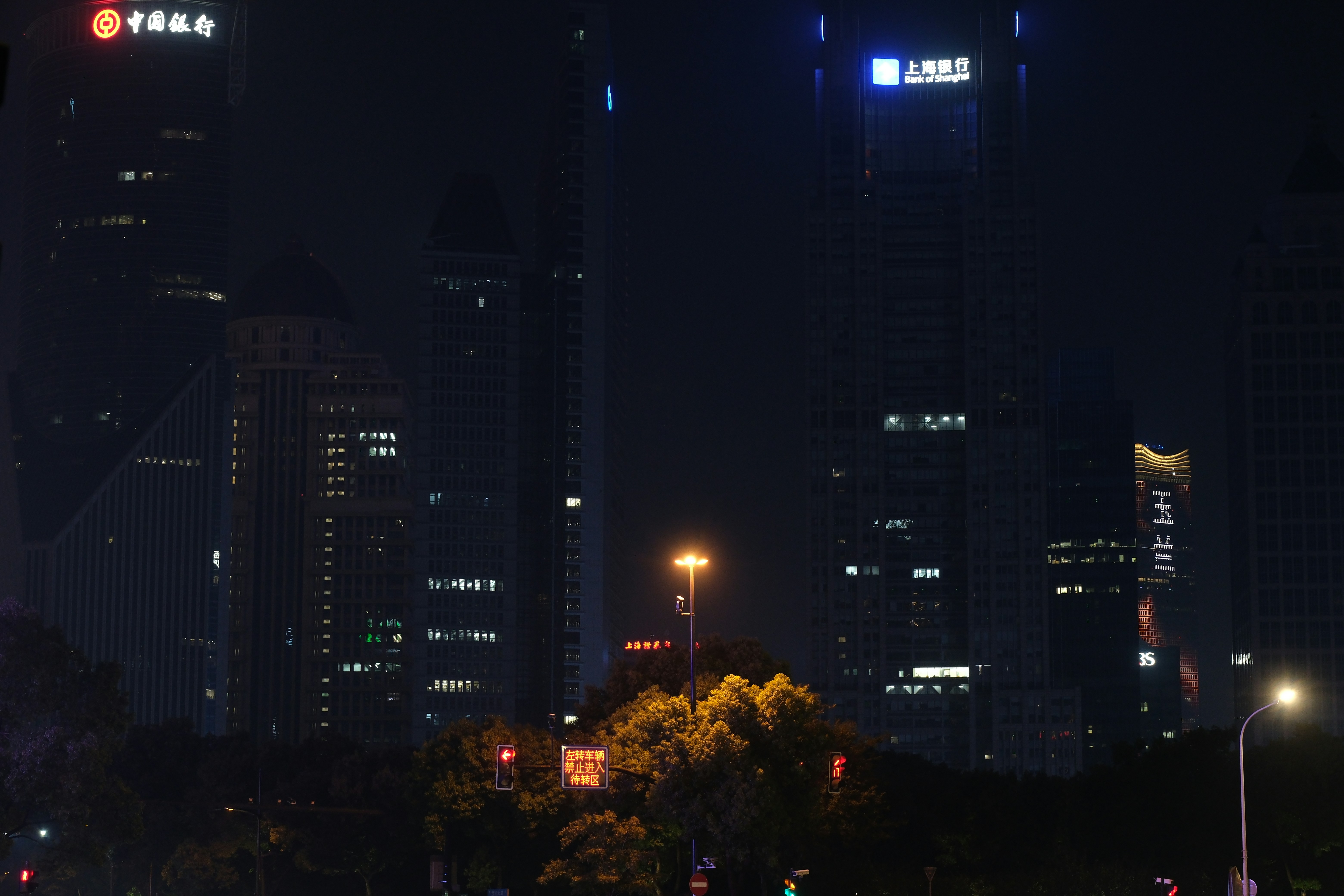 A quiet city night, where glowing streetlights illuminate the trees beneath towering skyscrapers | City skyline with illuminated skyscrapers at night.