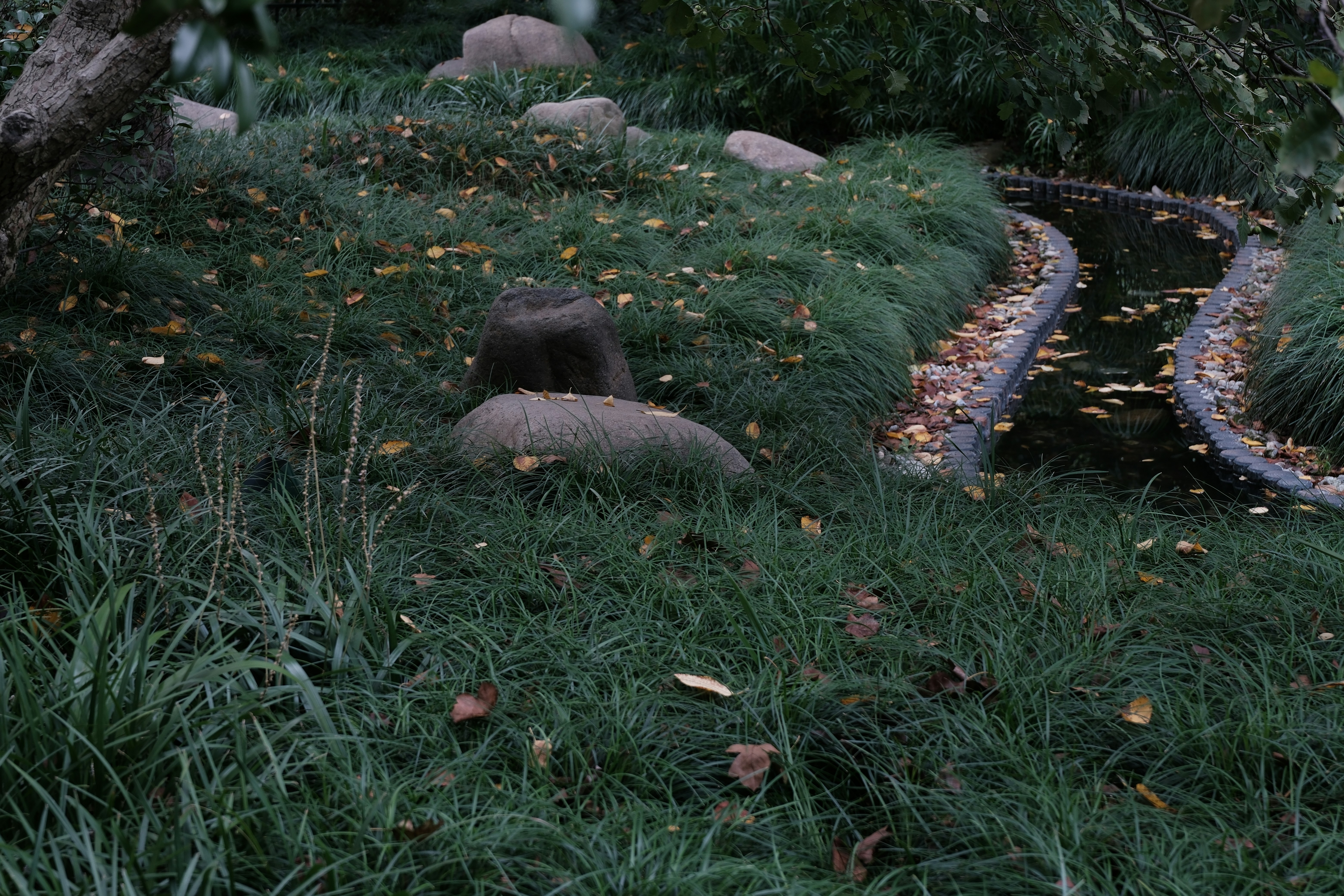 Whispers of Nature: A Serene Retreat