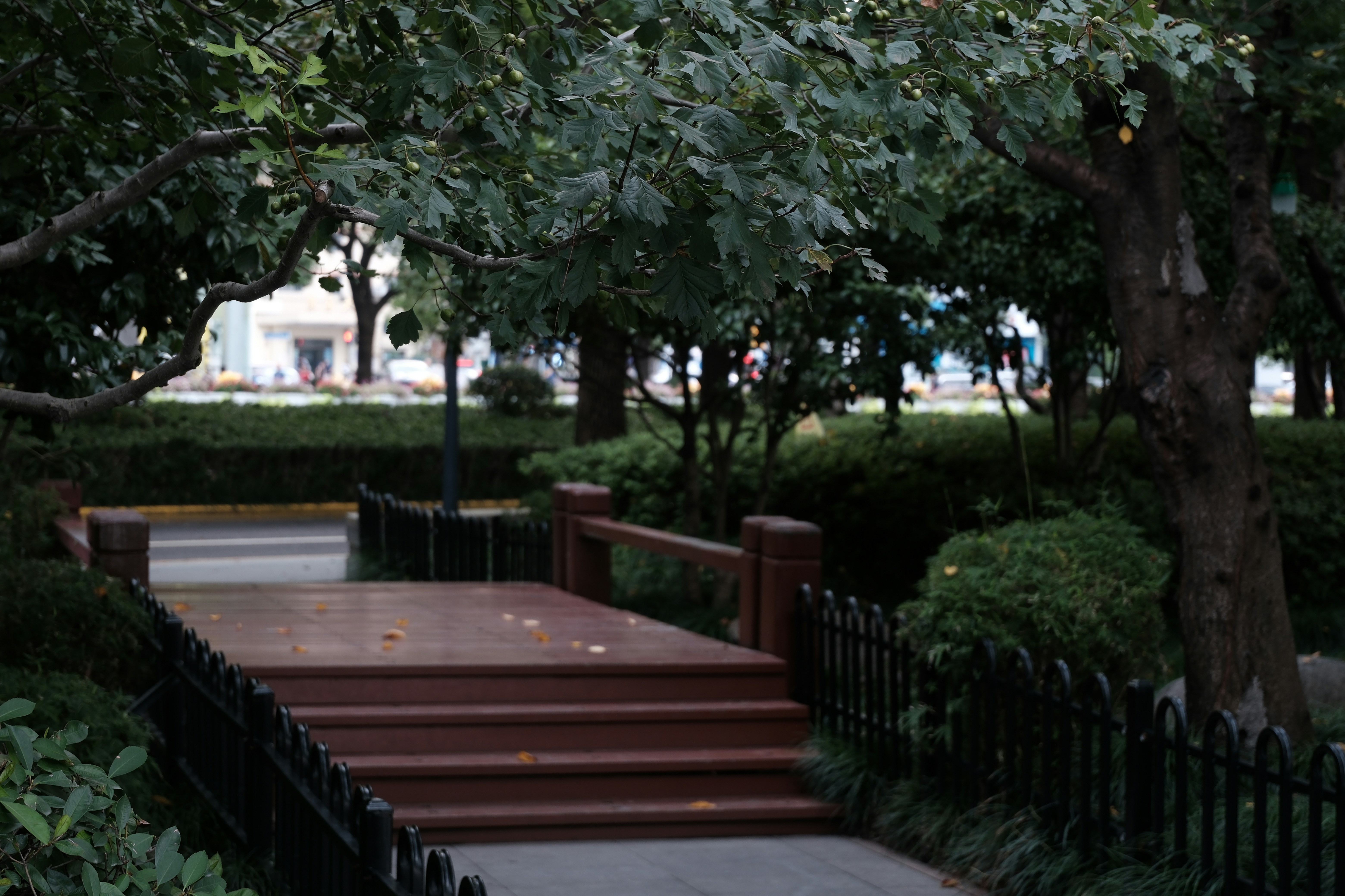 A quiet wooden bridge framed by green branches, surrounded by a peaceful garden atmosphere | Stone steps lead through a lush green park.