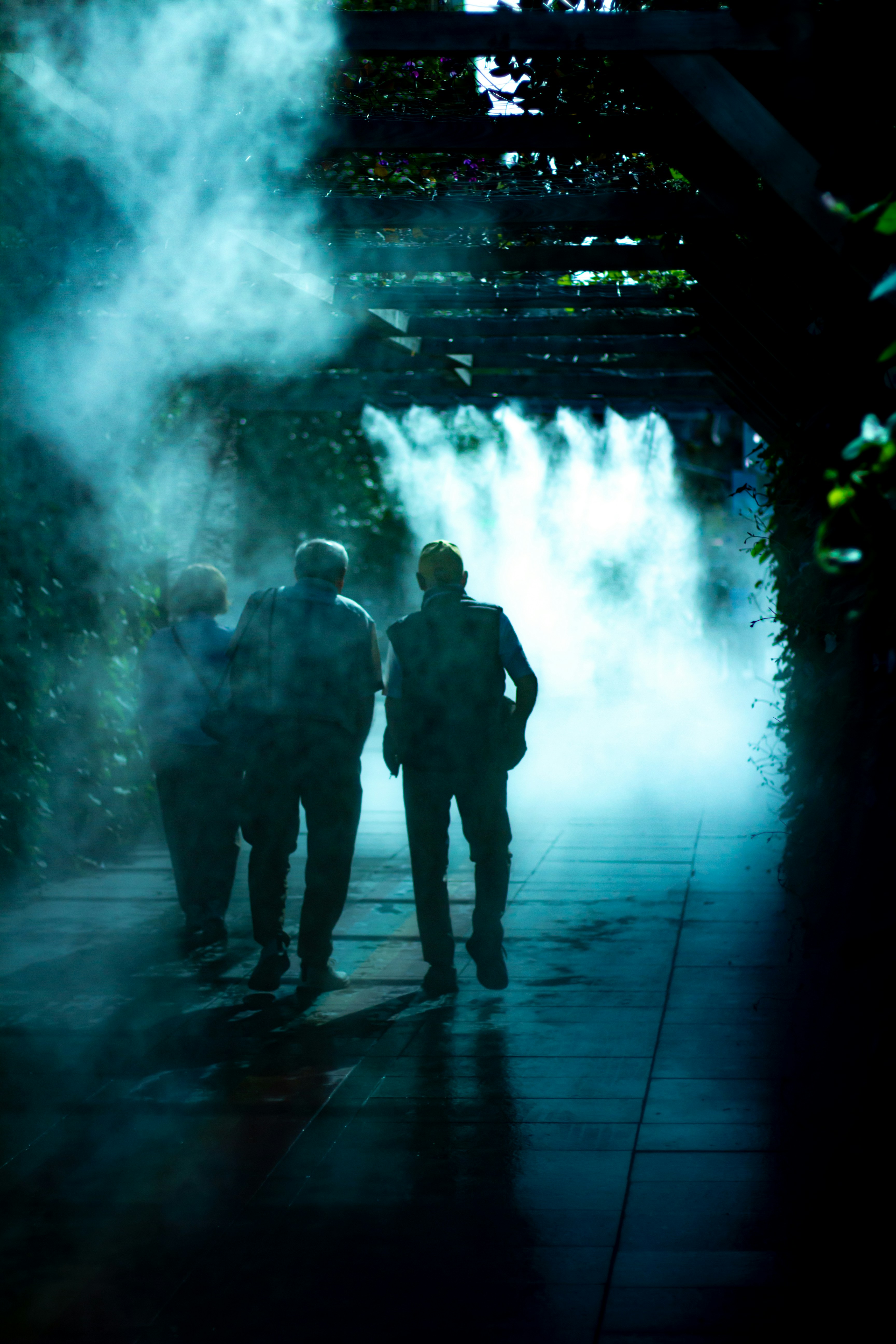Walking Through Blue Mist in Strasbourg | People walking through foggy garden path at night.