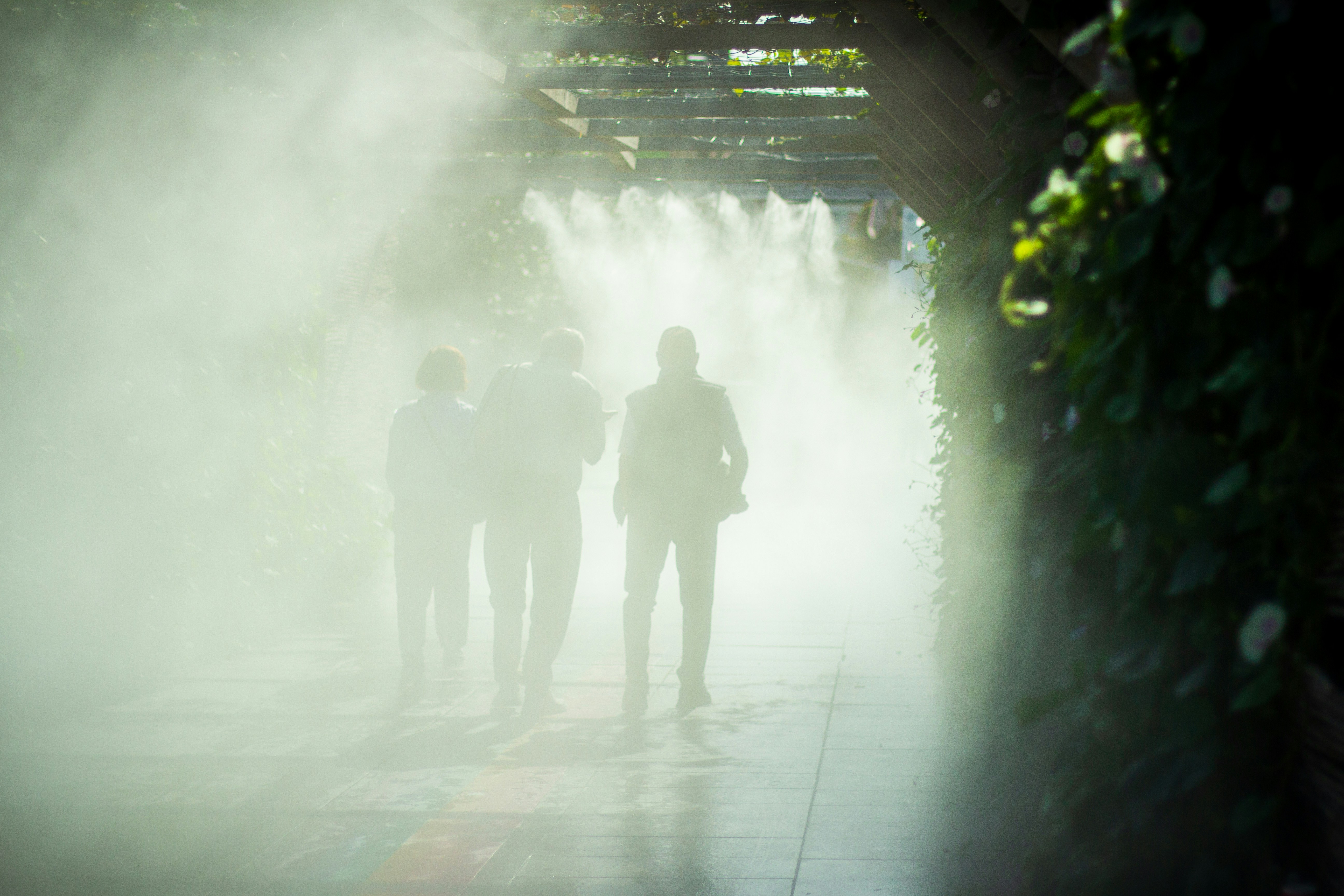 Three figures walking through a misty path surrounded by lush greenery. The soft haze creates an ethereal atmosphere.