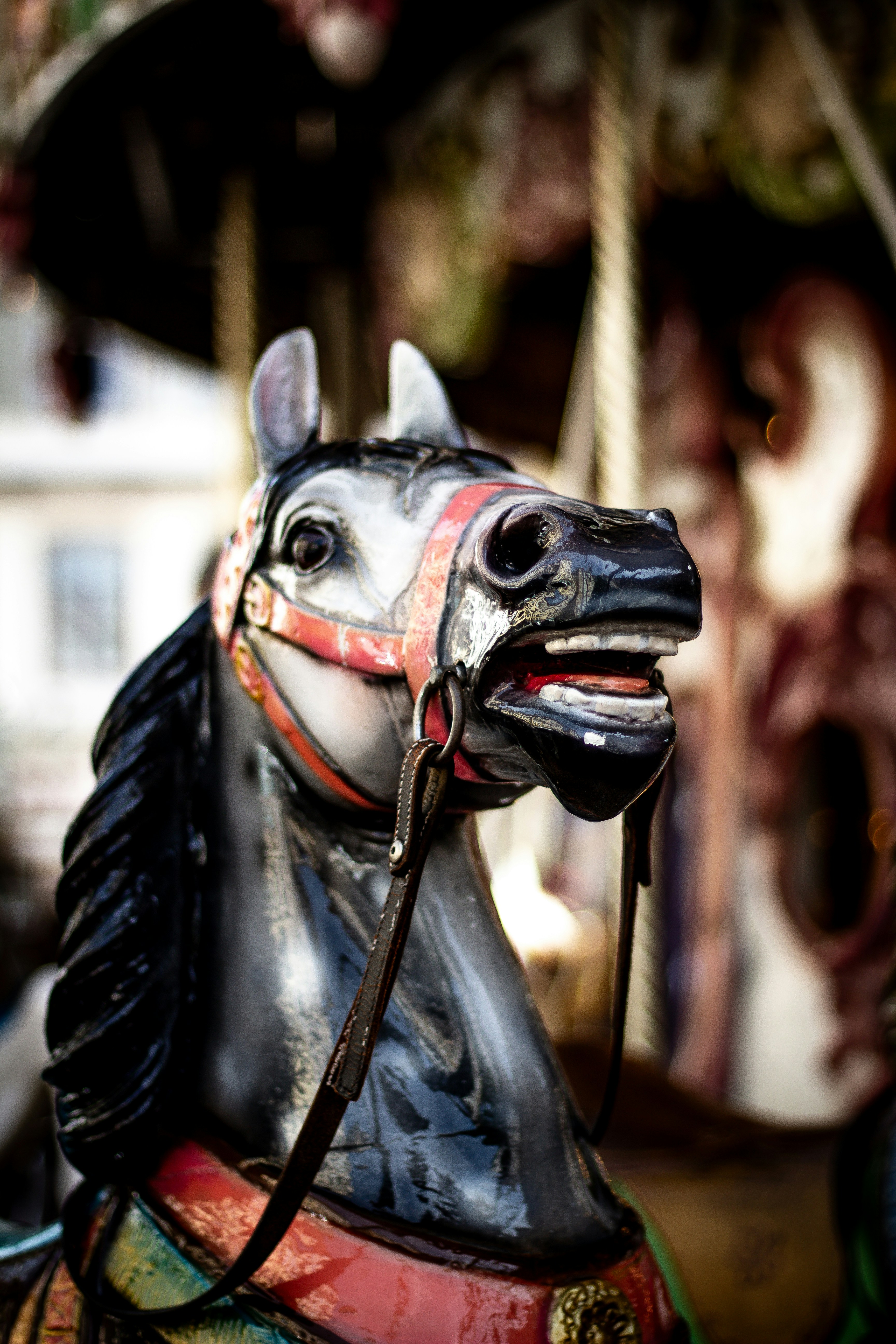 Carousel Horse in Strasbourg | A close-up of a carousel horse with a red bridle.