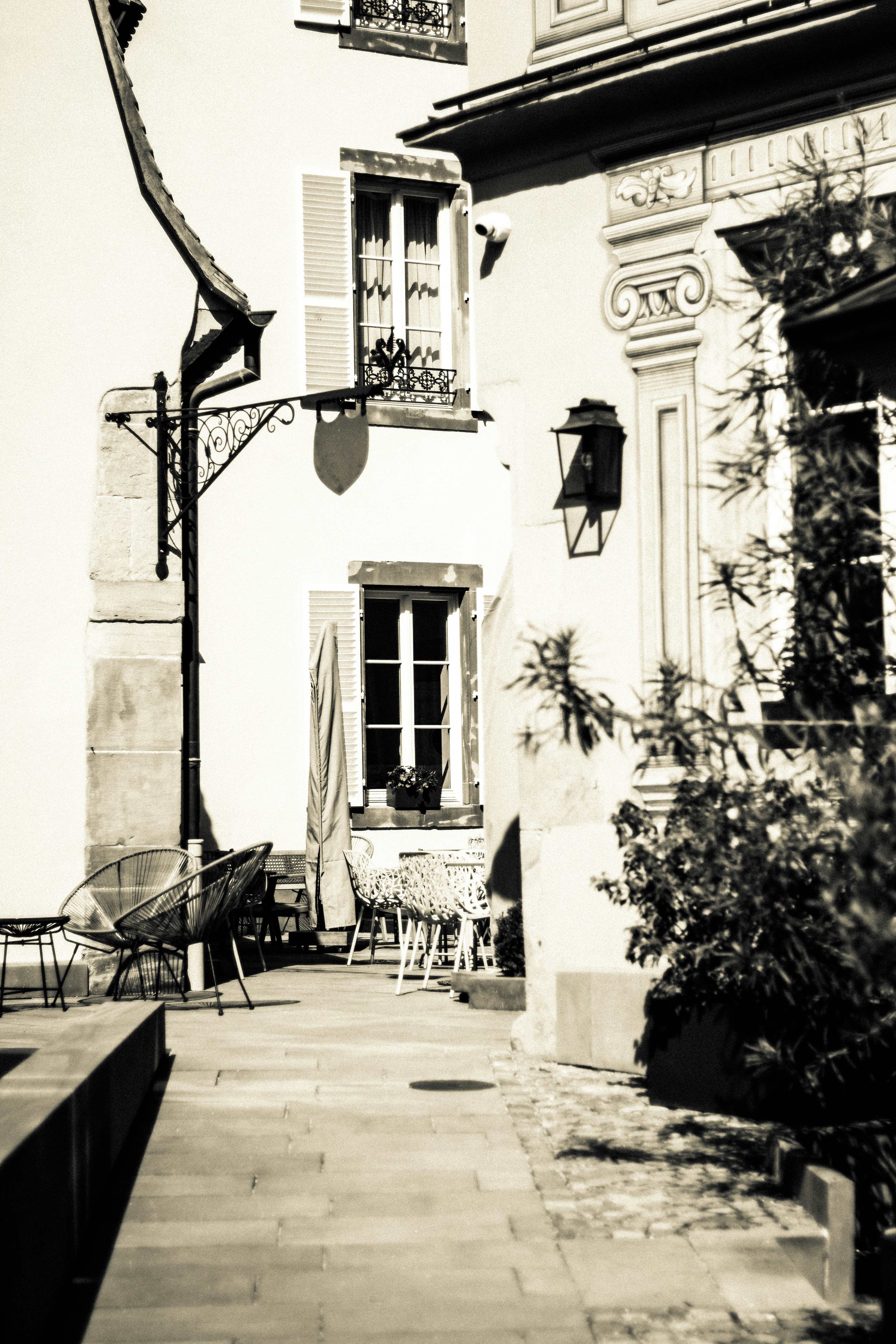 Whispers of a Quaint Courtyard