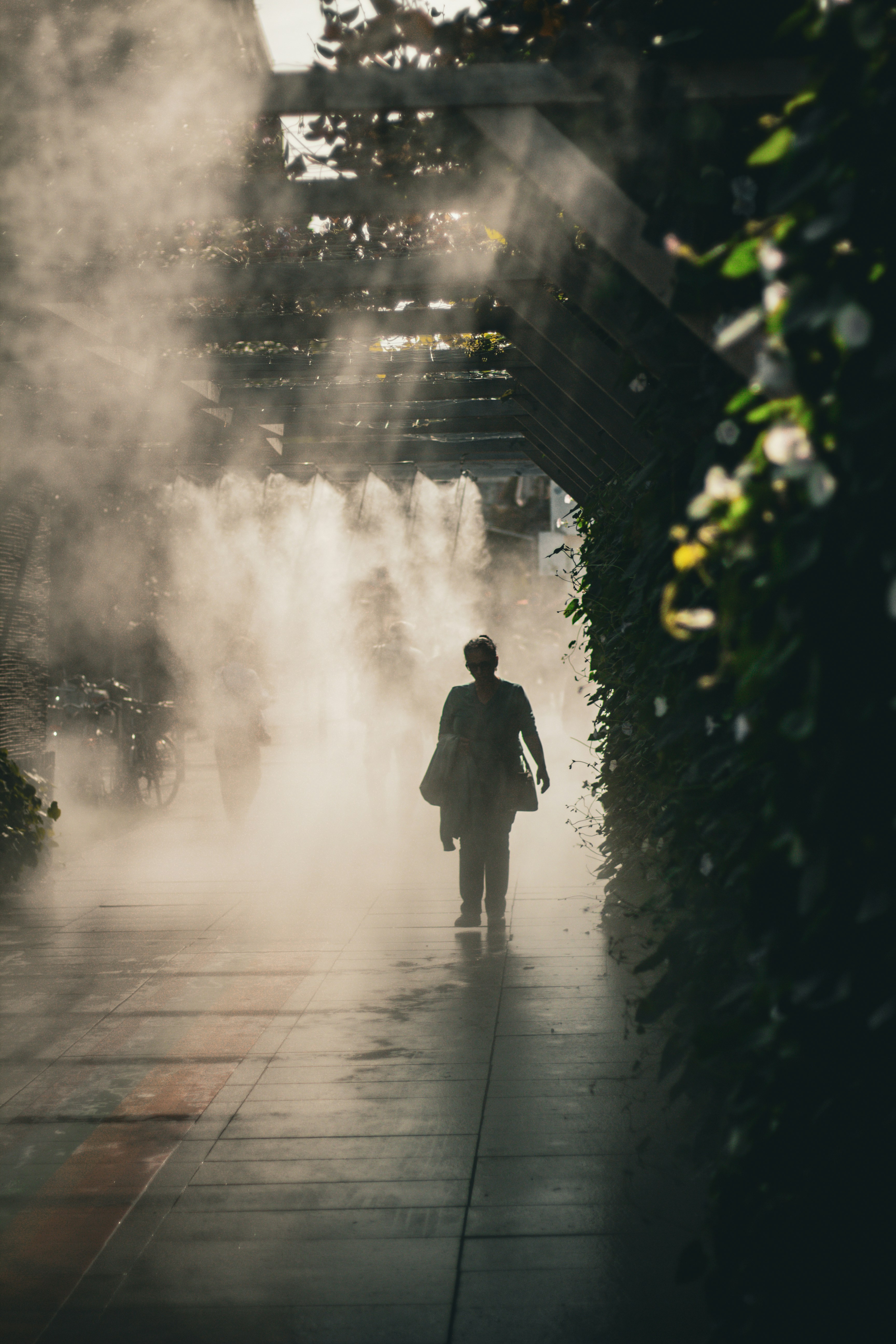 Whispers of Mist in the Urban Oasis