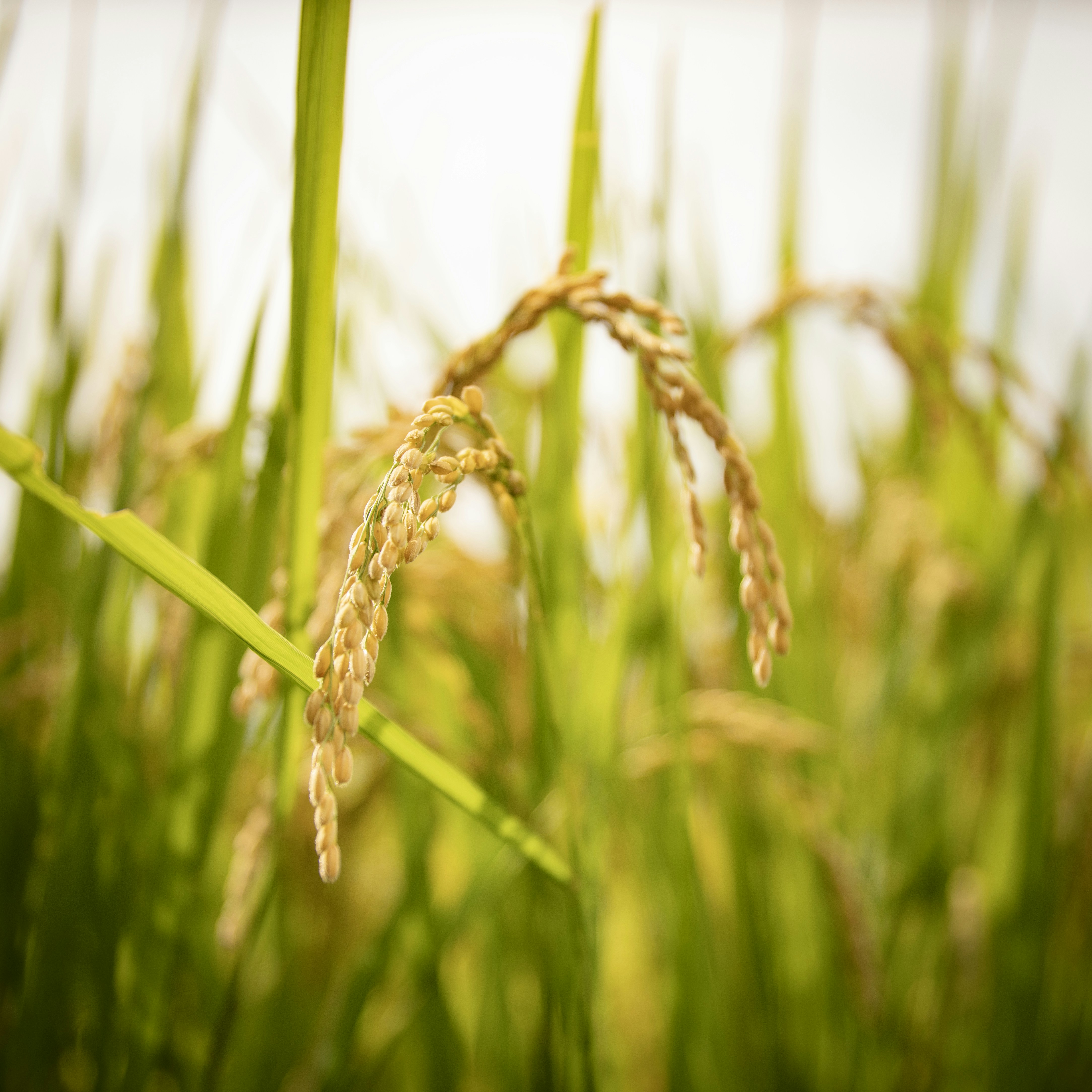 Jinomono Media (@jinomono) | Unsplash 사진 커뮤니티