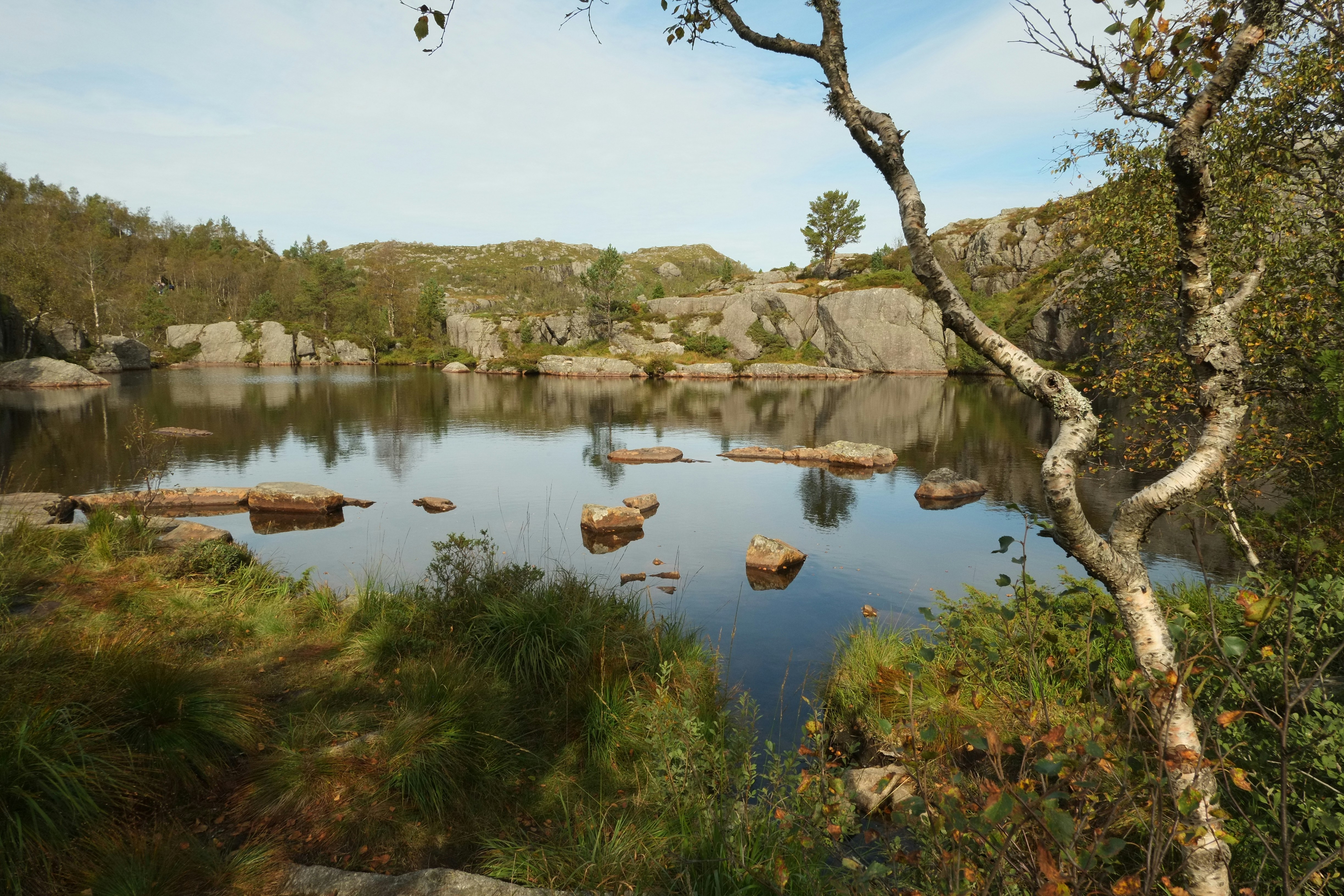 Reflections of Tranquility in Nature's Embrace