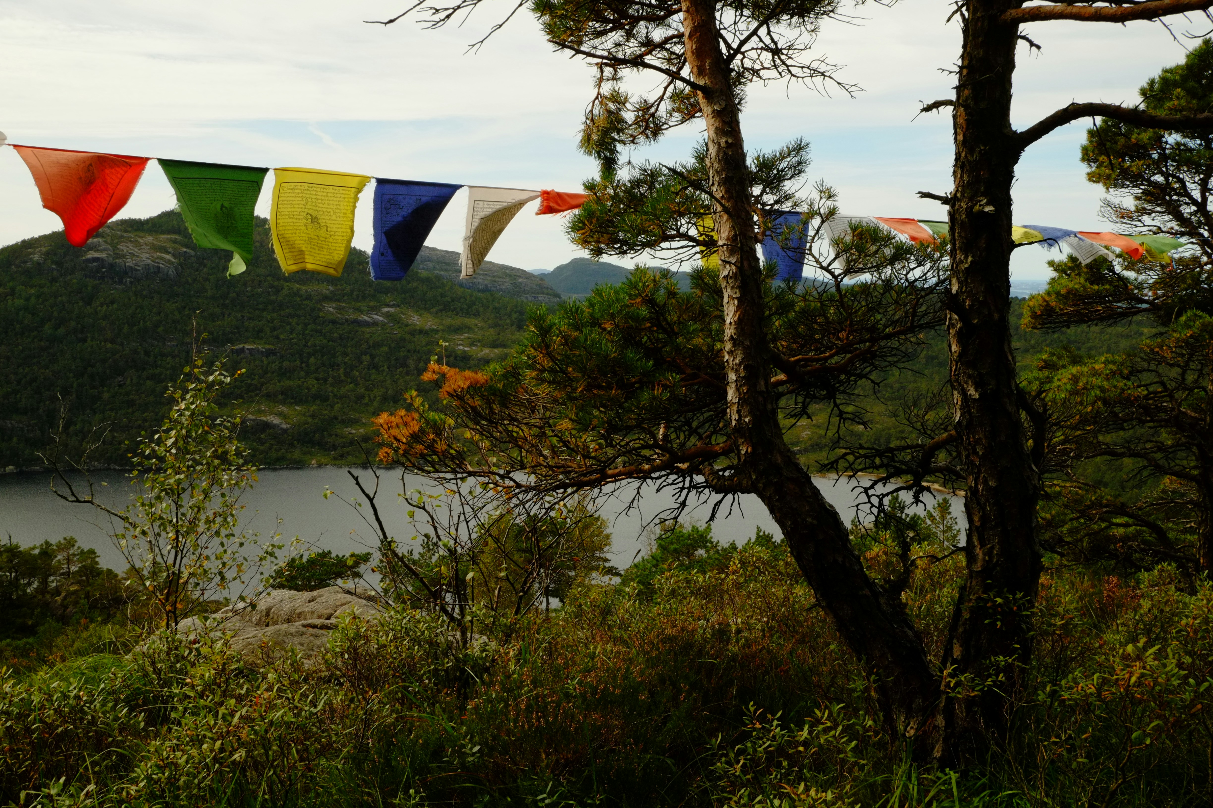Colorful prayer flags fluttering in the breeze, framed by lush greenery and a serene lake in the background.
