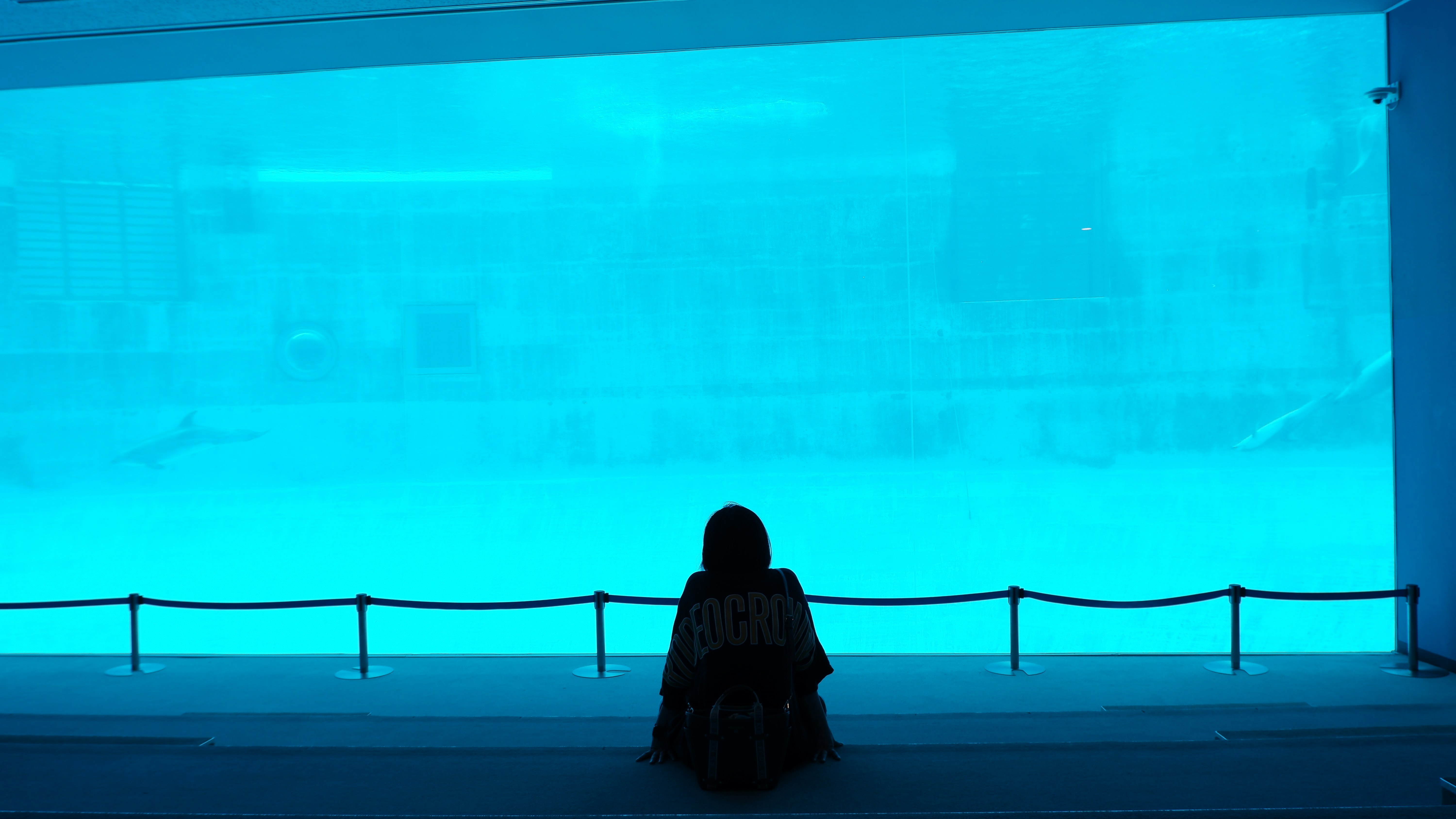 從假日到節慶：用簡單日語說出日本生活的味道 – Ryuuu TV / 學日文看日本