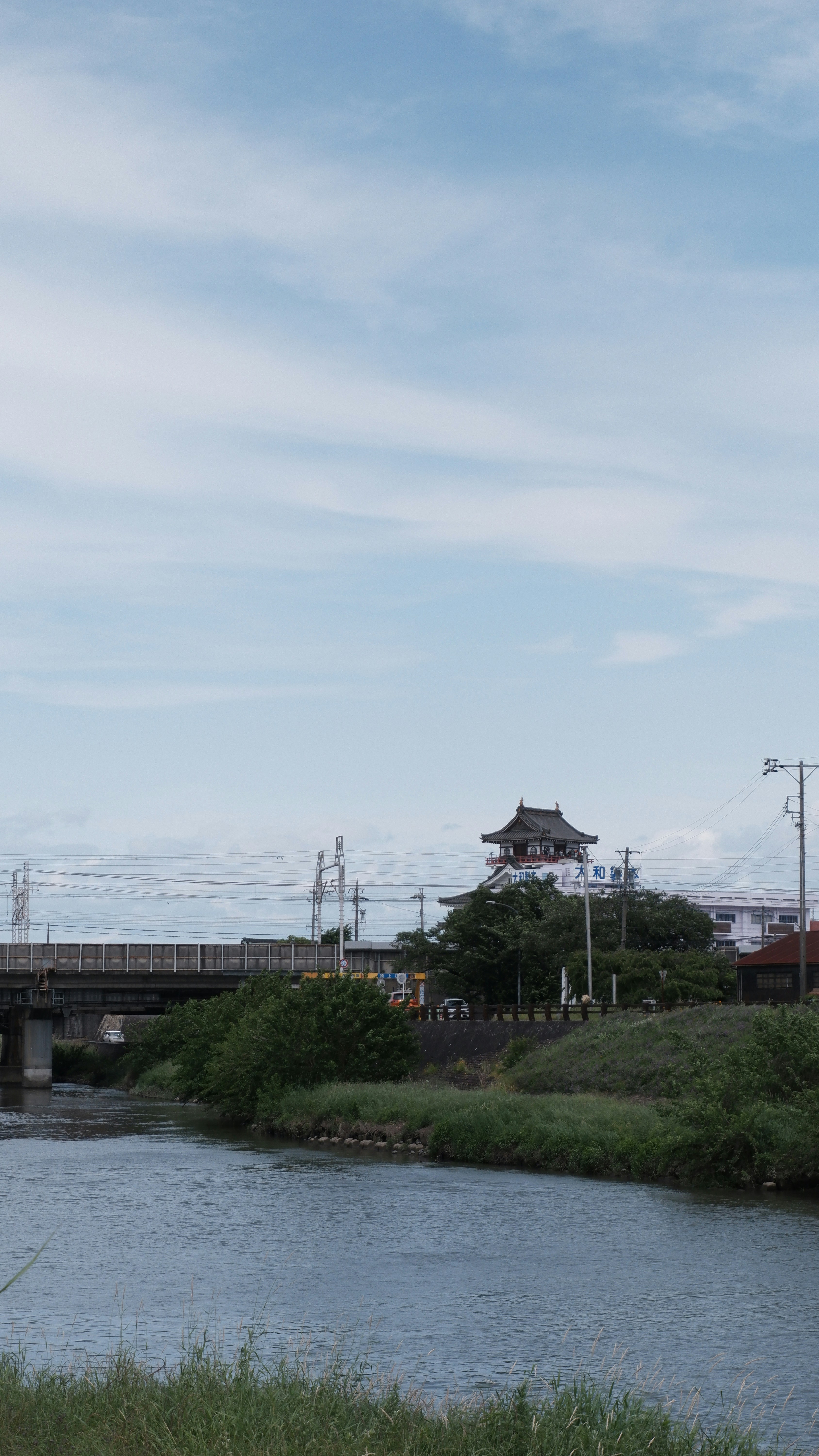 Harmony of Nature and Urban Life