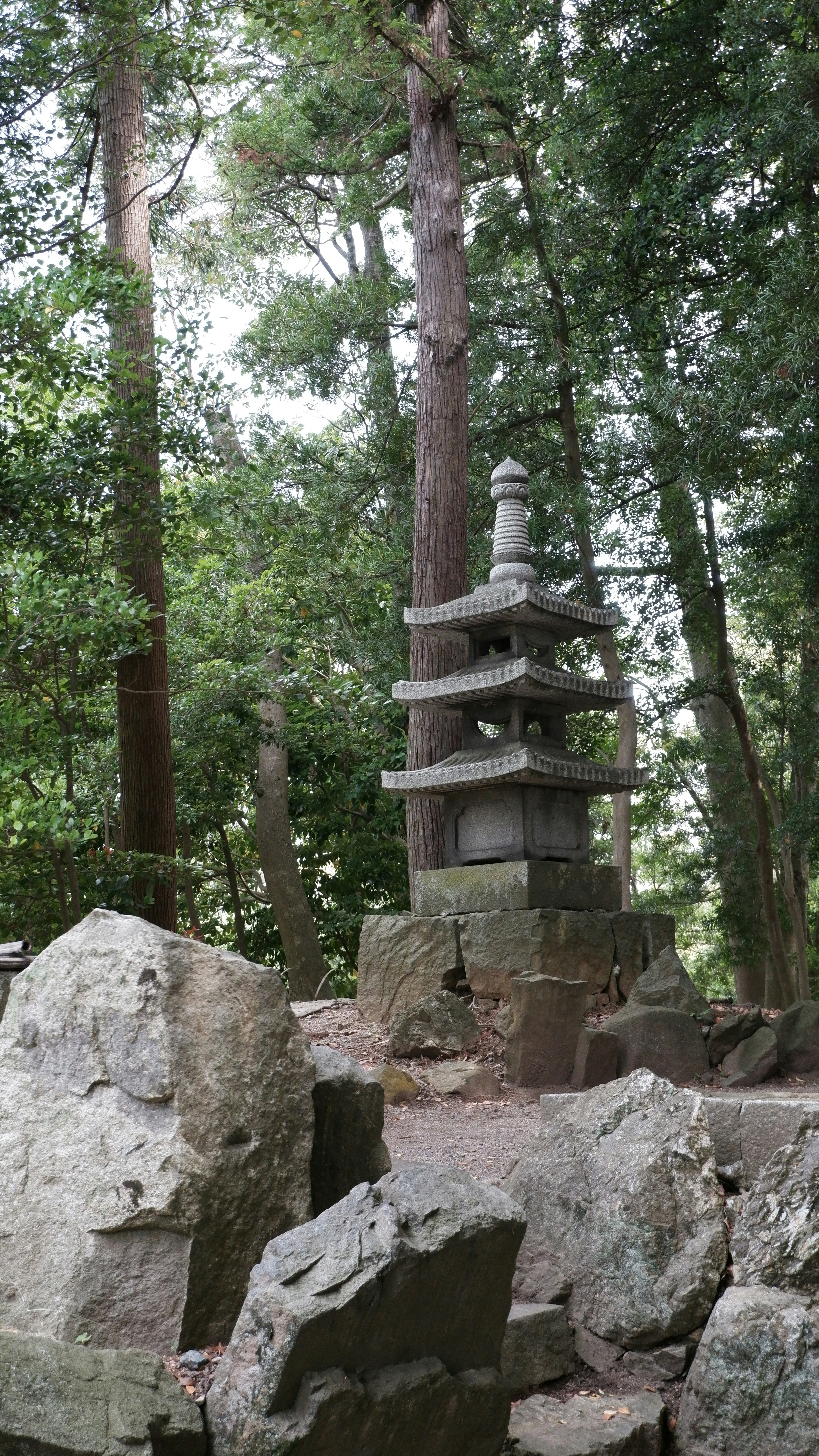 The Serene Guardian of the Forest