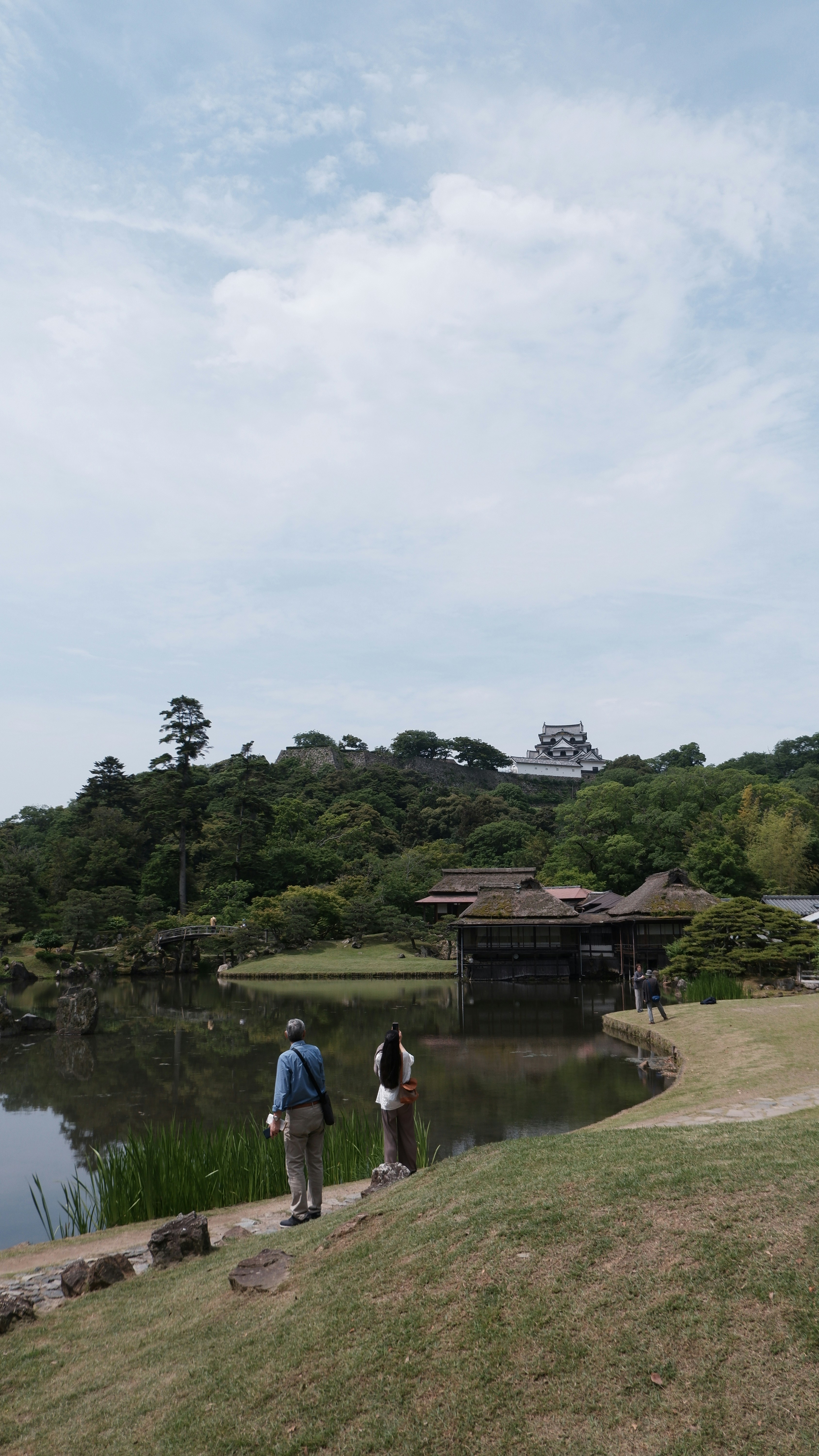 Serenity by the Water: A Journey Through Nature's Embrace
