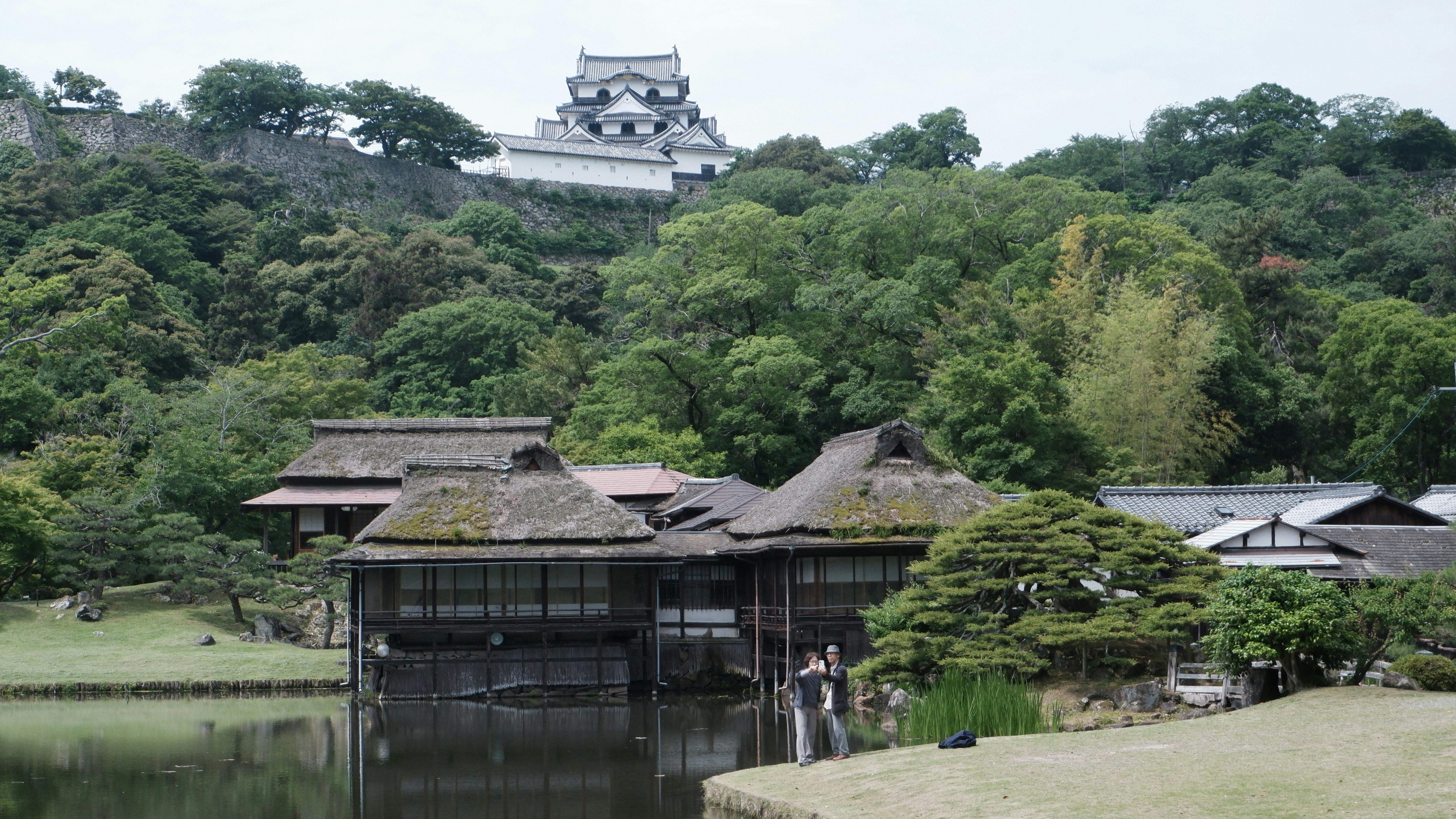 Castle Crest on a Verdant Hill: A Quiet Portrait of Traditional Japanese Architecture