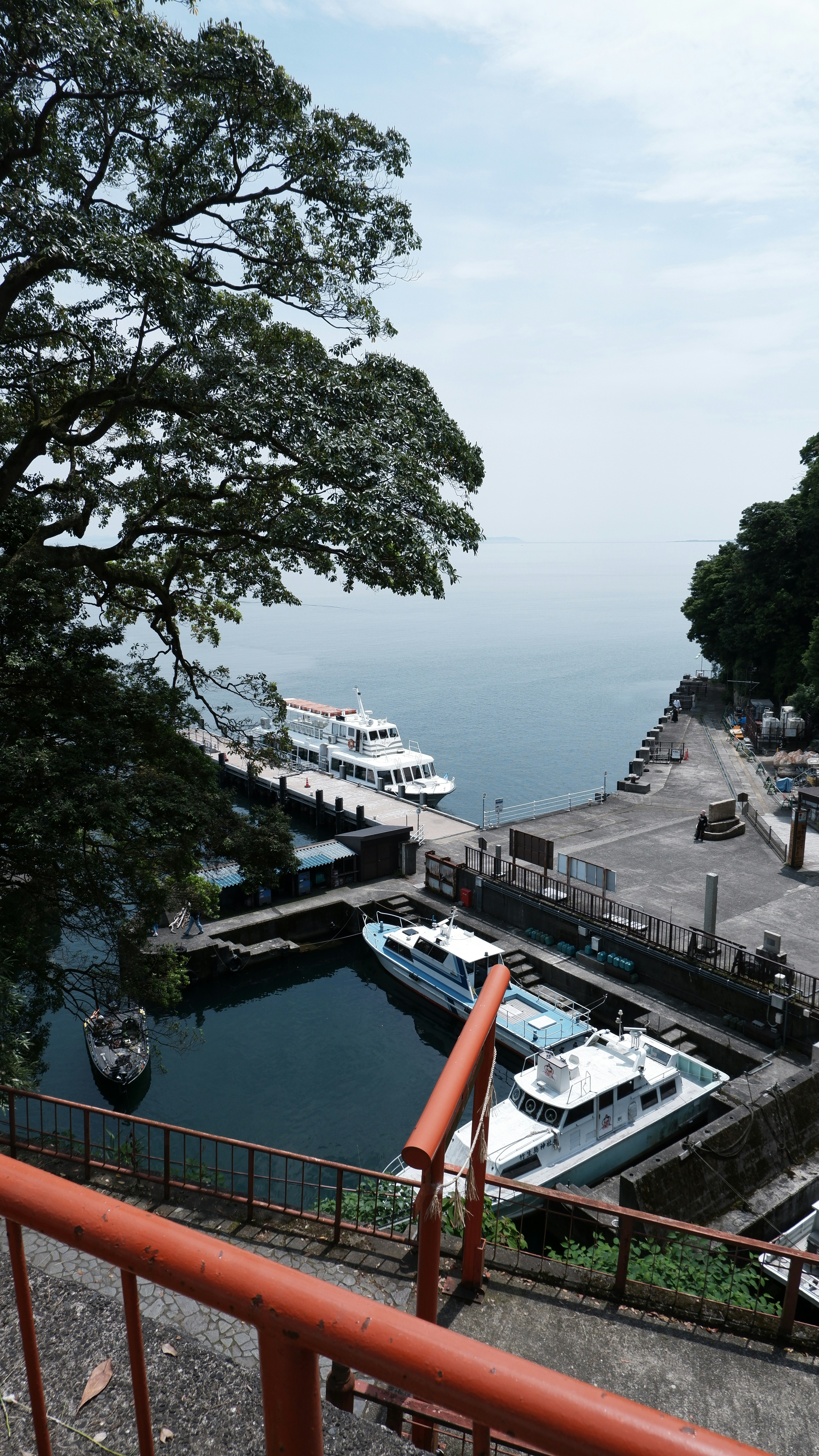 Harbor Serenity: A Glimpse into Coastal Life
