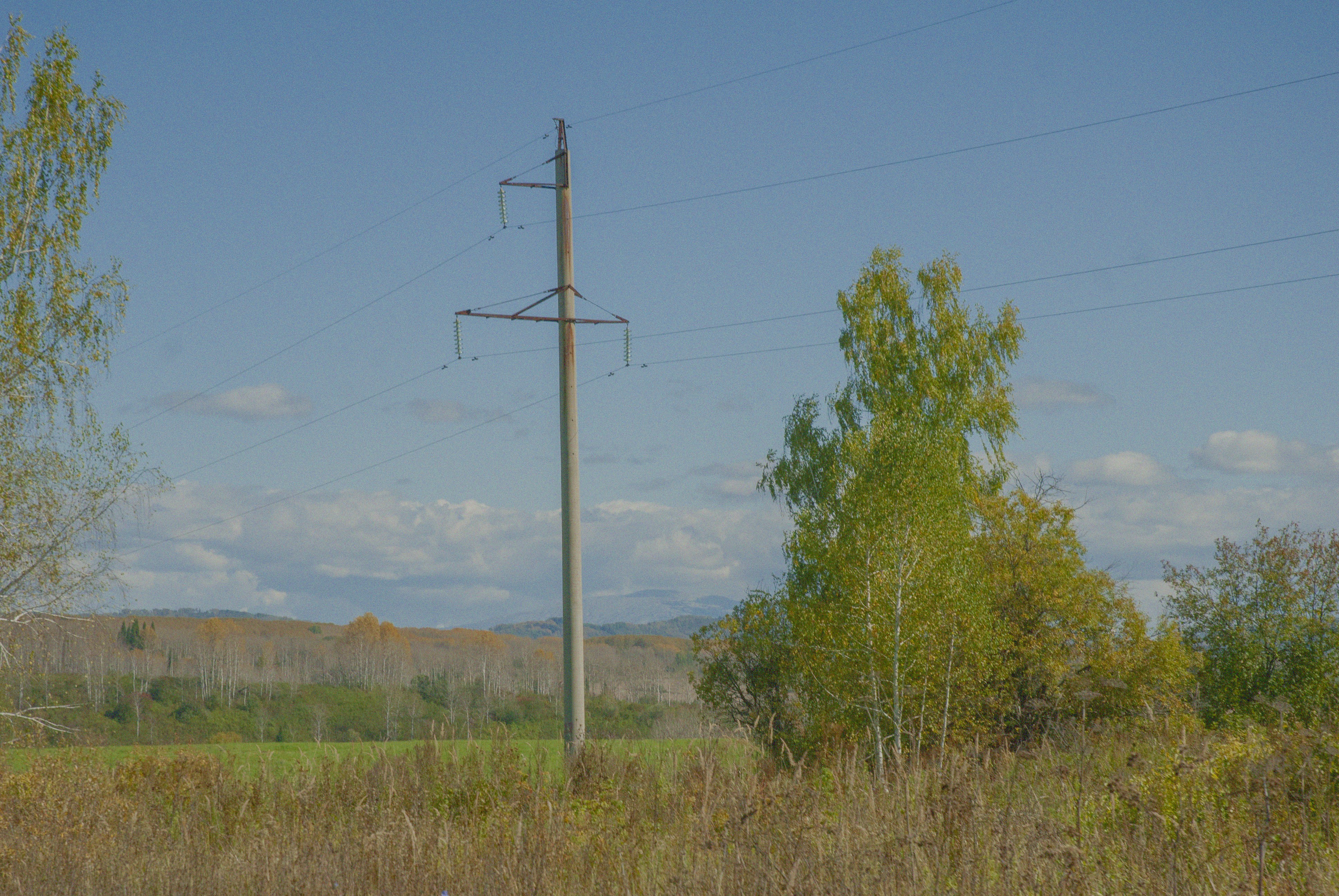 A lone power pole stands in a grassy field.
