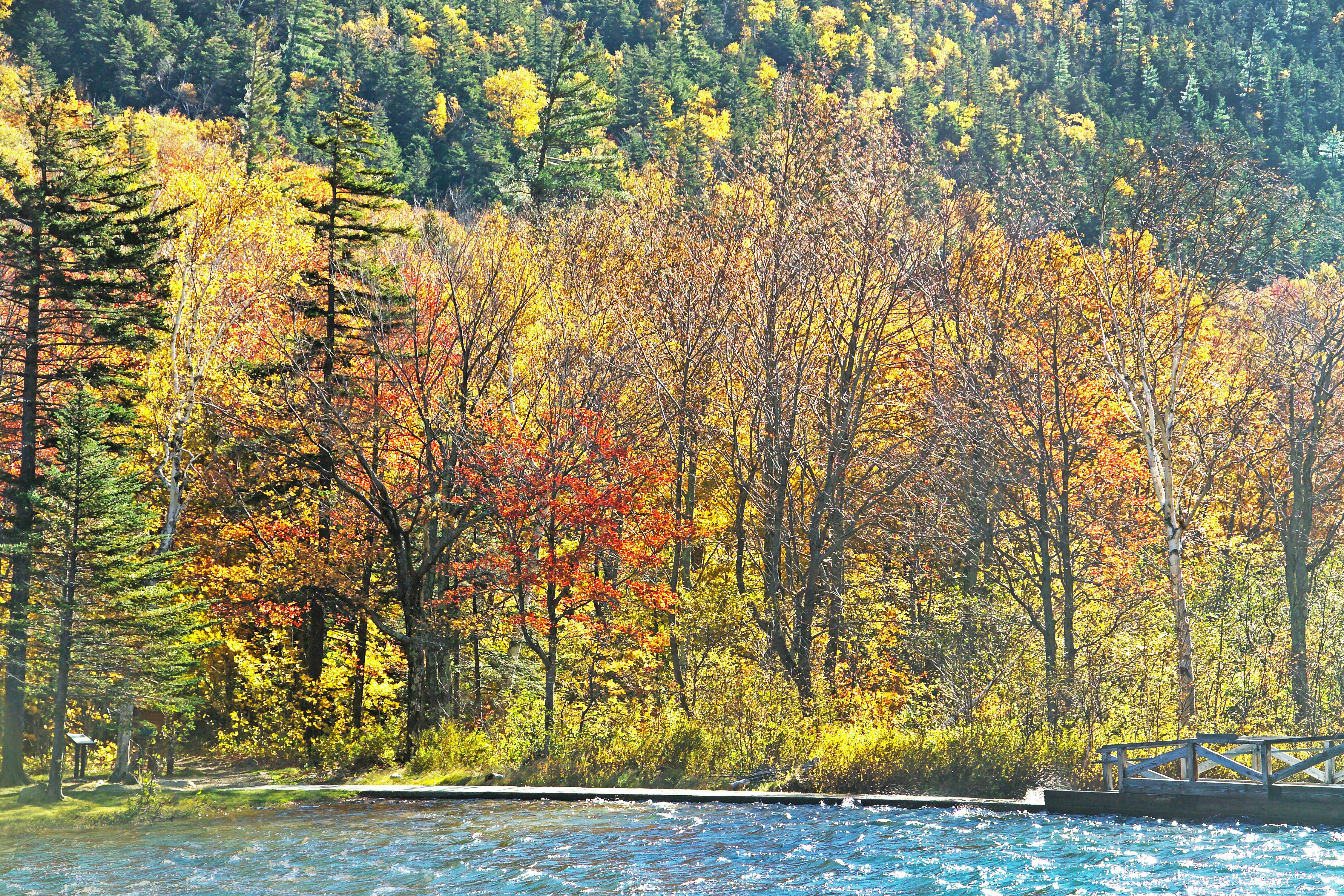 A trailhead for an up the mountain hike. | Autumn trees with vibrant fall colors beside a lake.