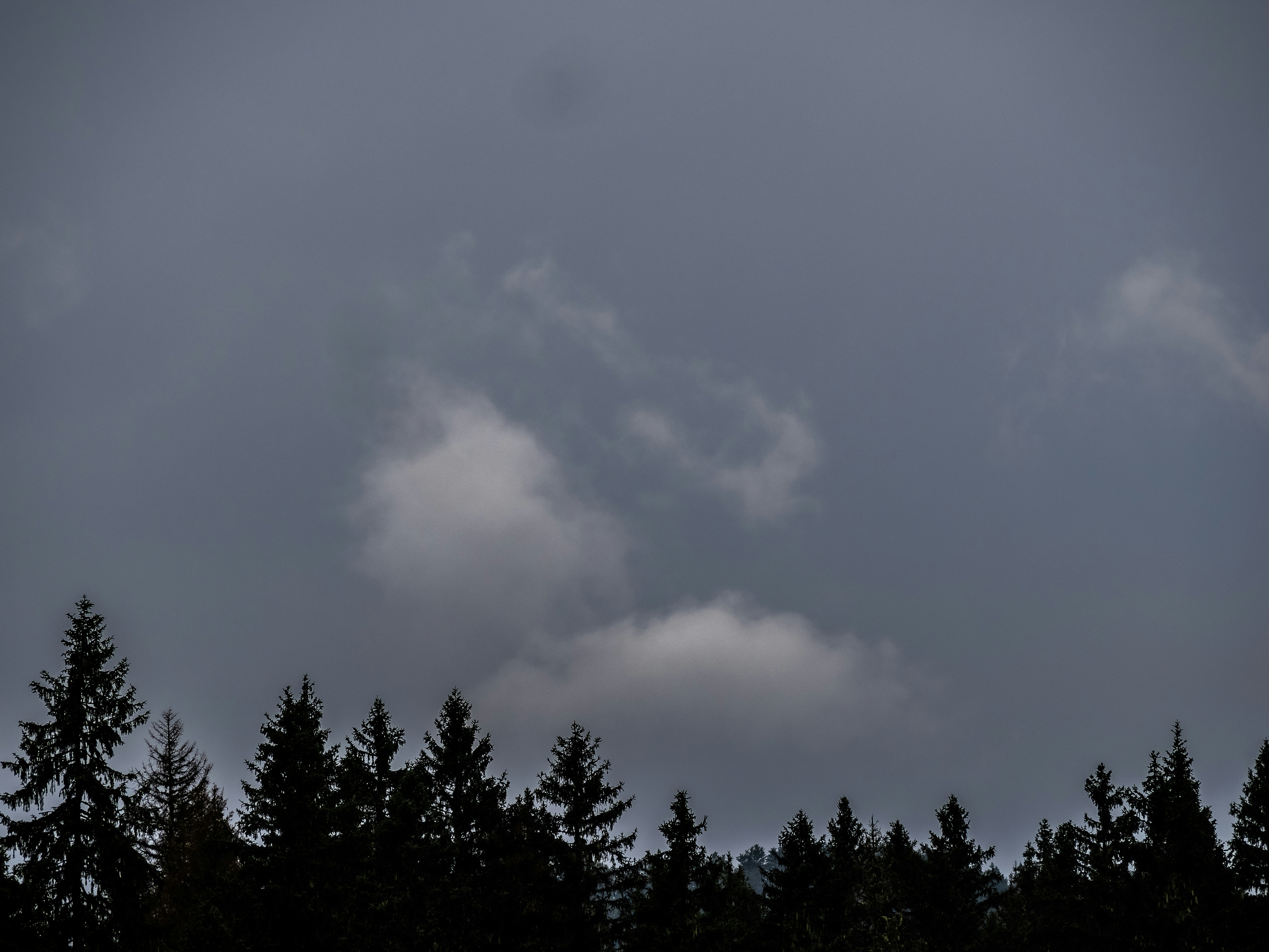Whispers of the Overcast Sky
