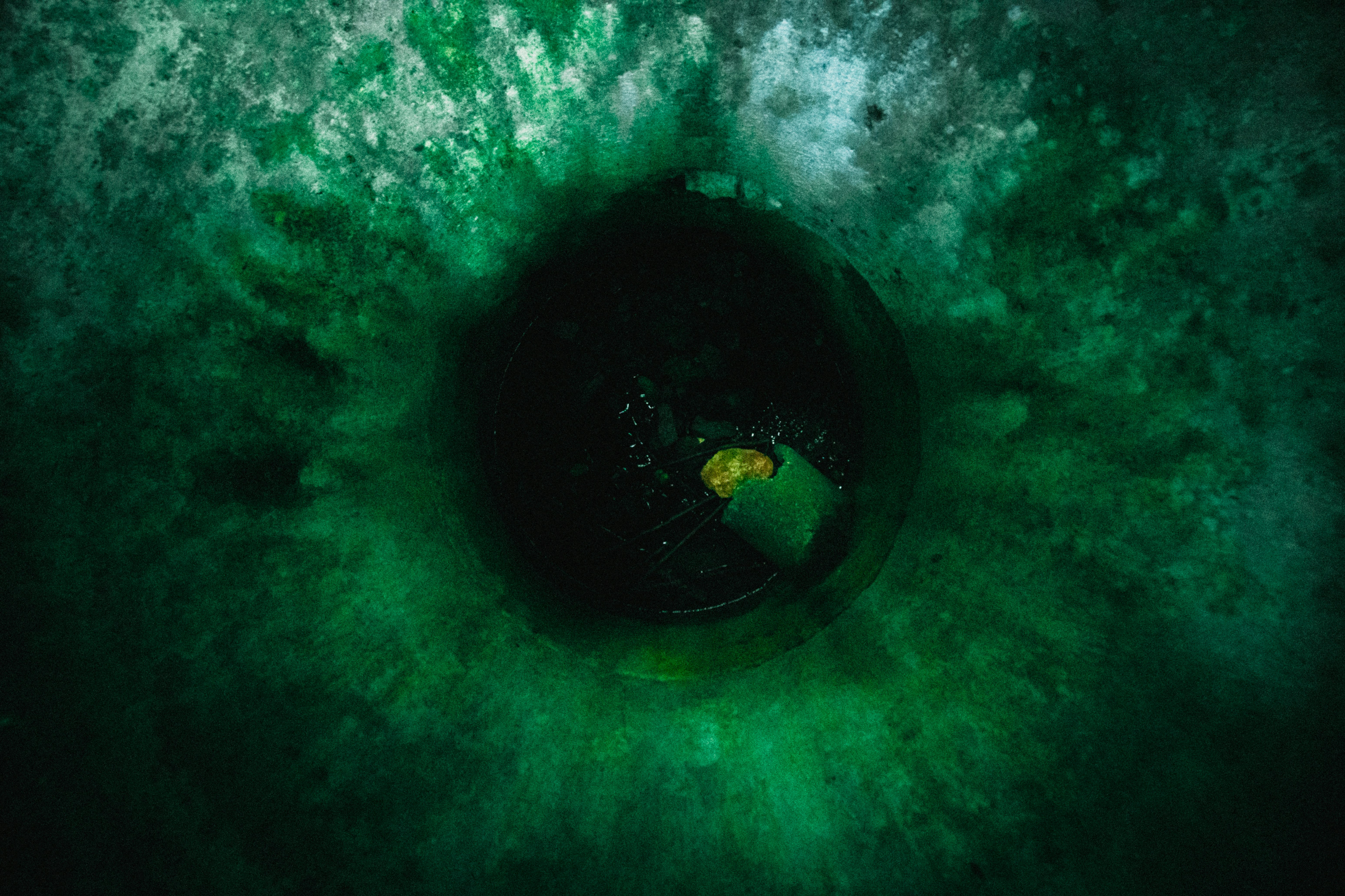 Emerald Depths: A Glimpse into the Unknown