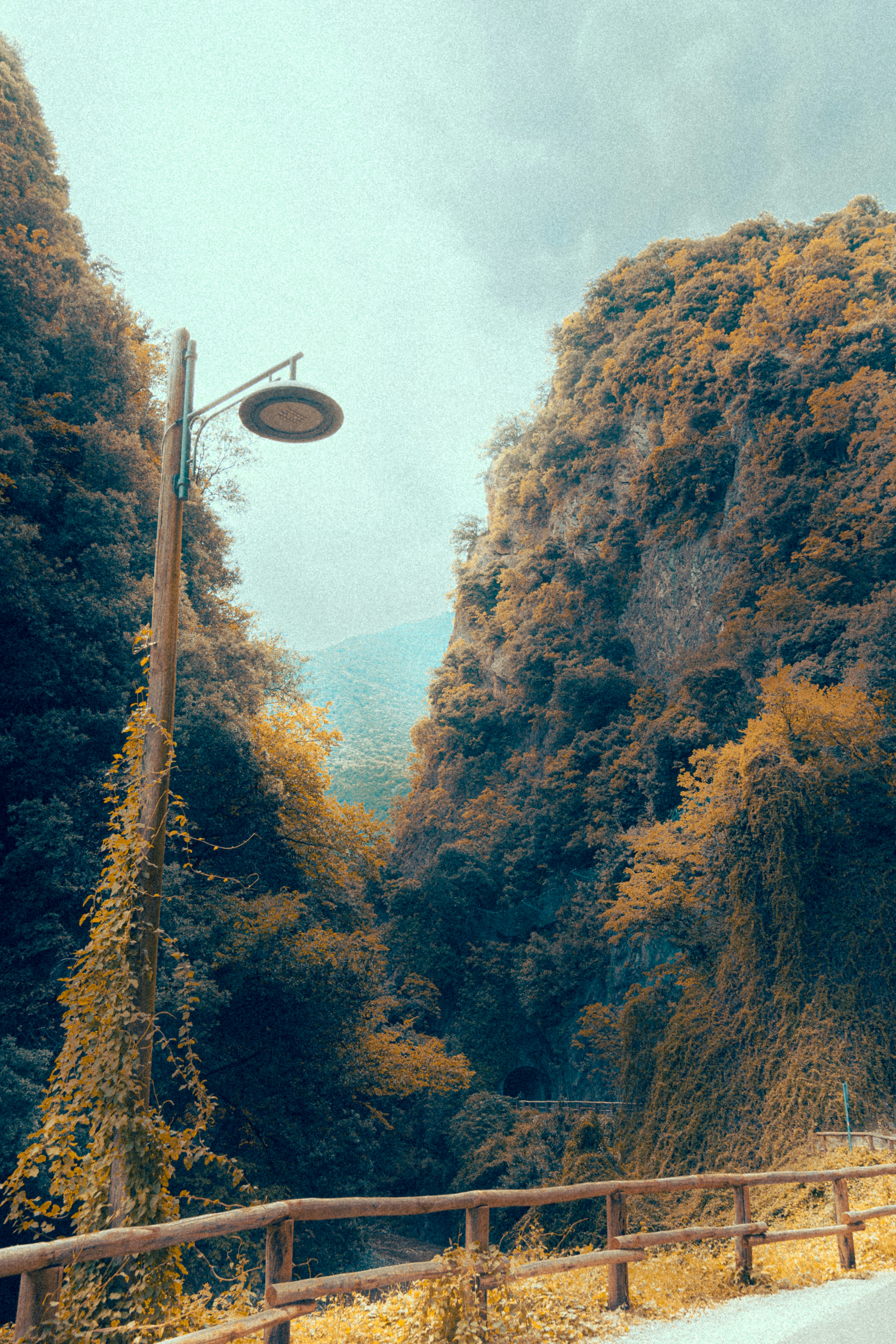 Whispers of the Enchanted Canyon