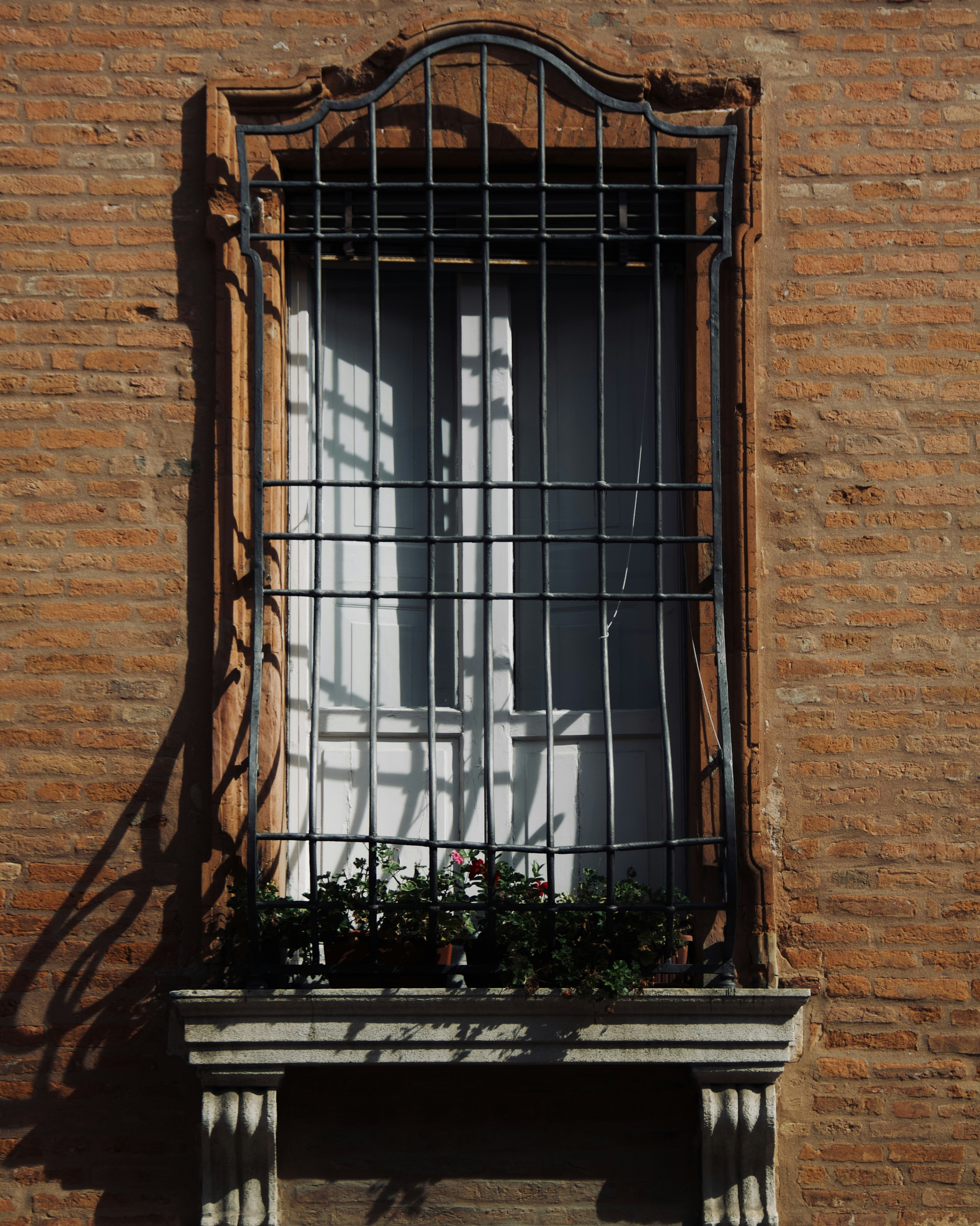 Window with ornate metal bars and flower box