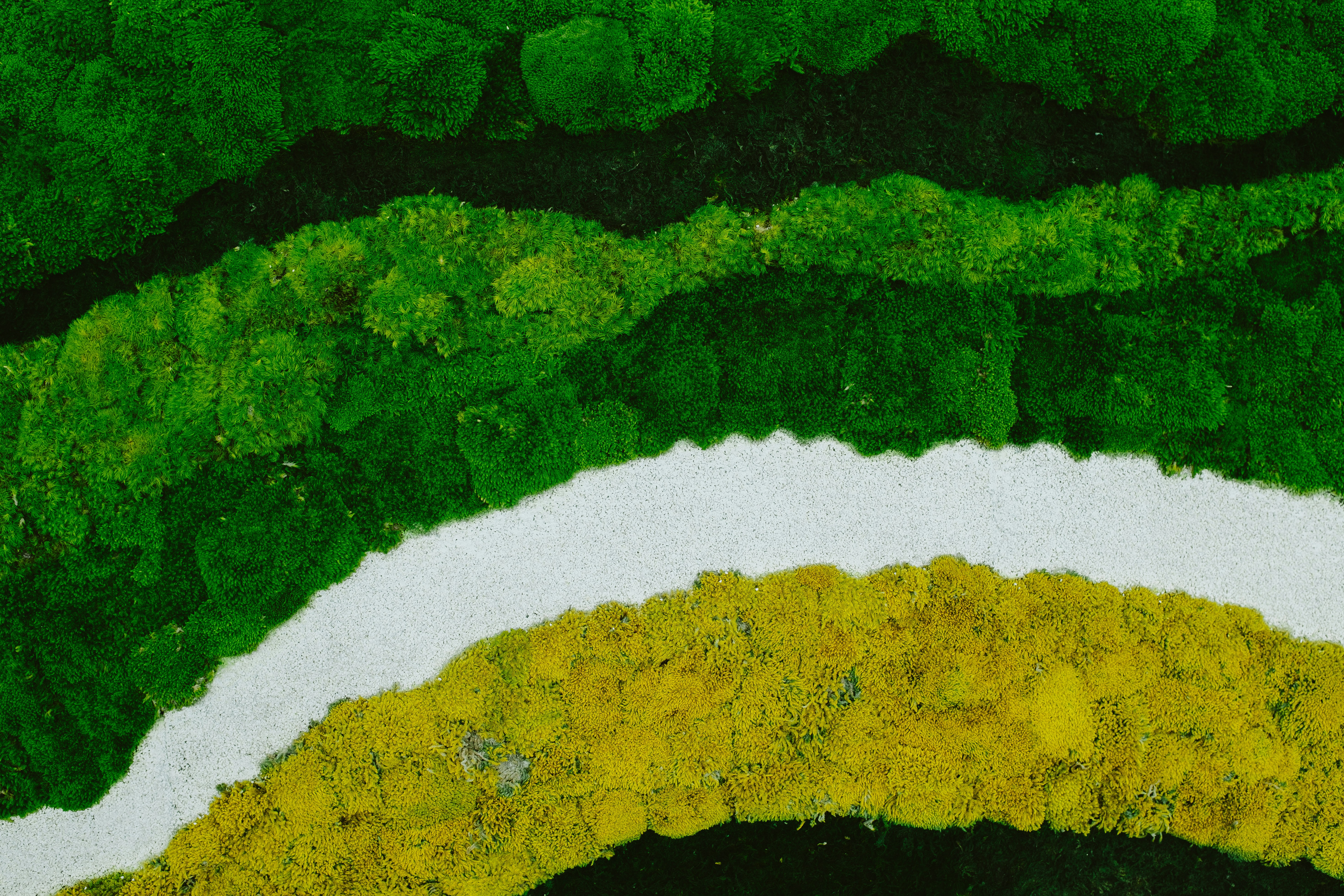Layered Textures of Nature's Palette