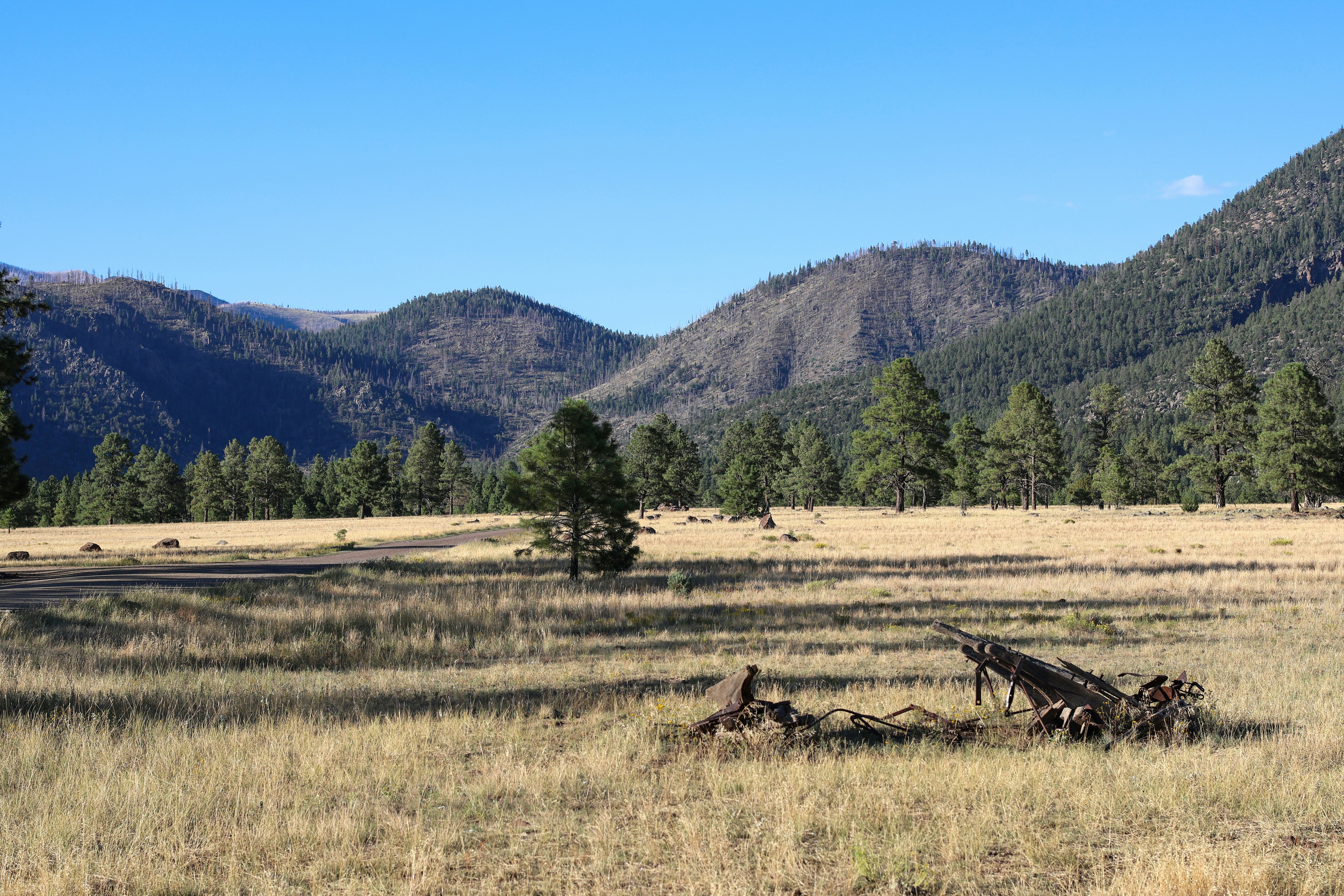 Dry grass field with trees and mountains under blue sky