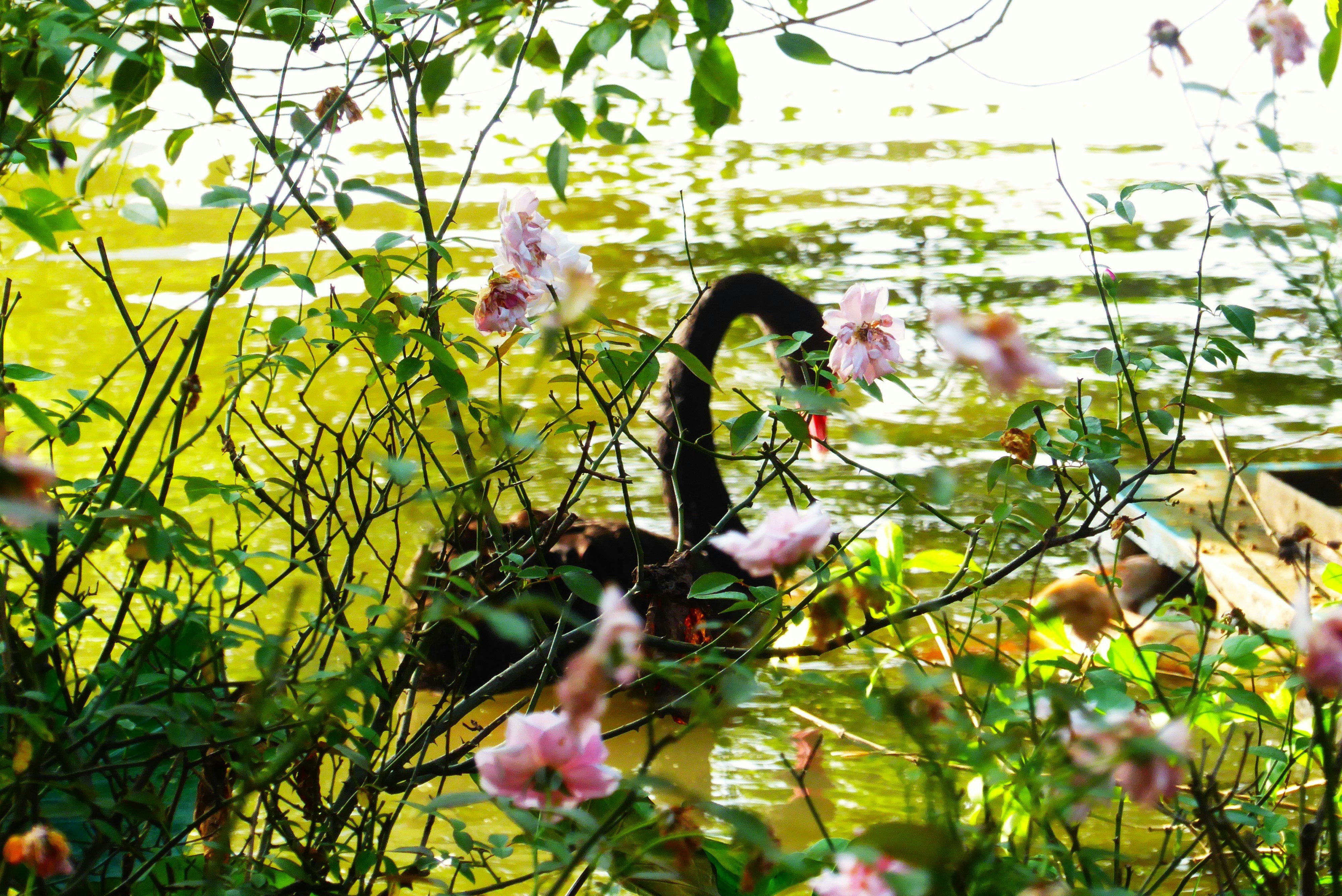 Ivy Dao (@peachlatte) | Unsplash 사진 커뮤니티