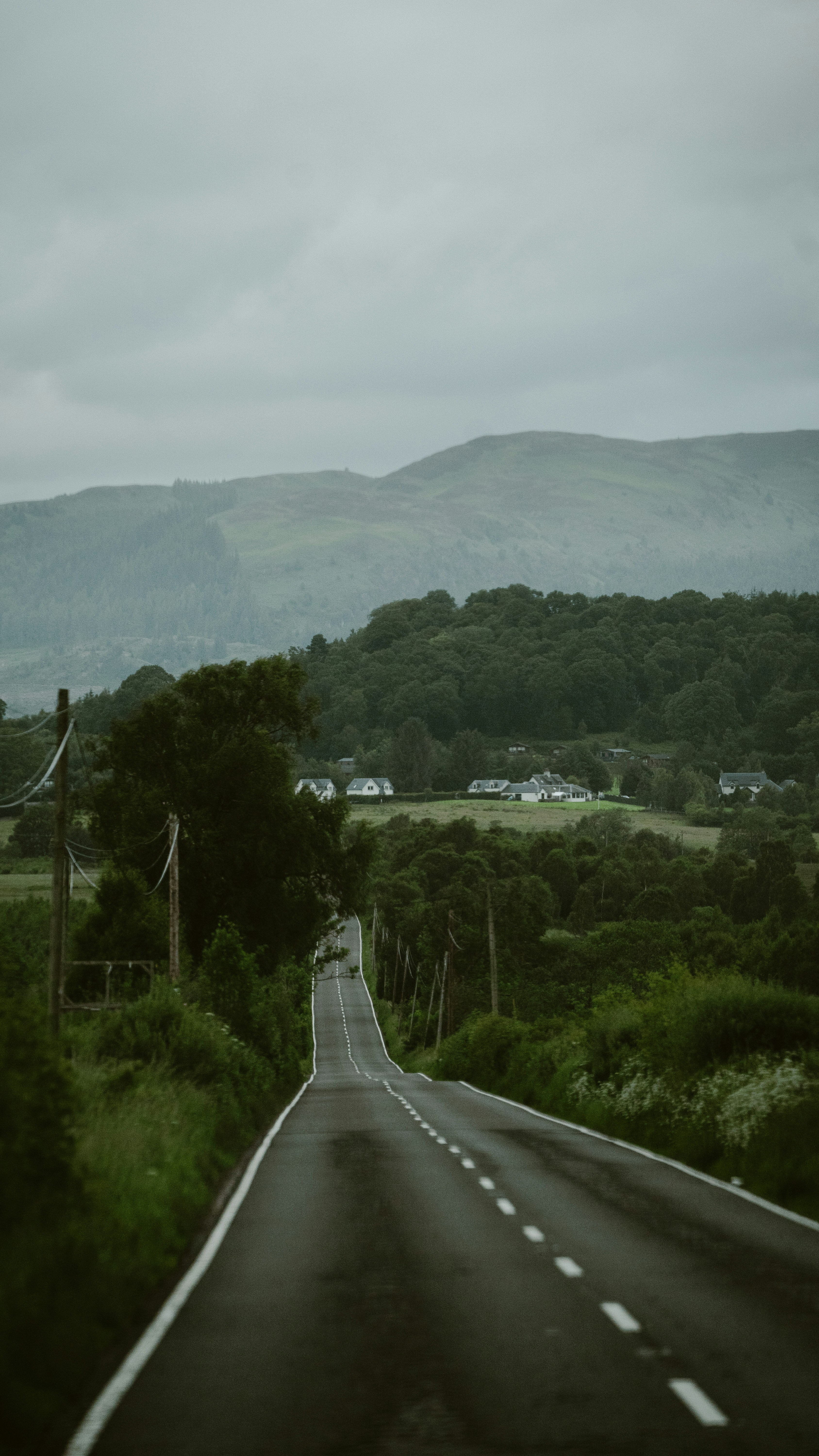 Winding Path Through Verdant Hills