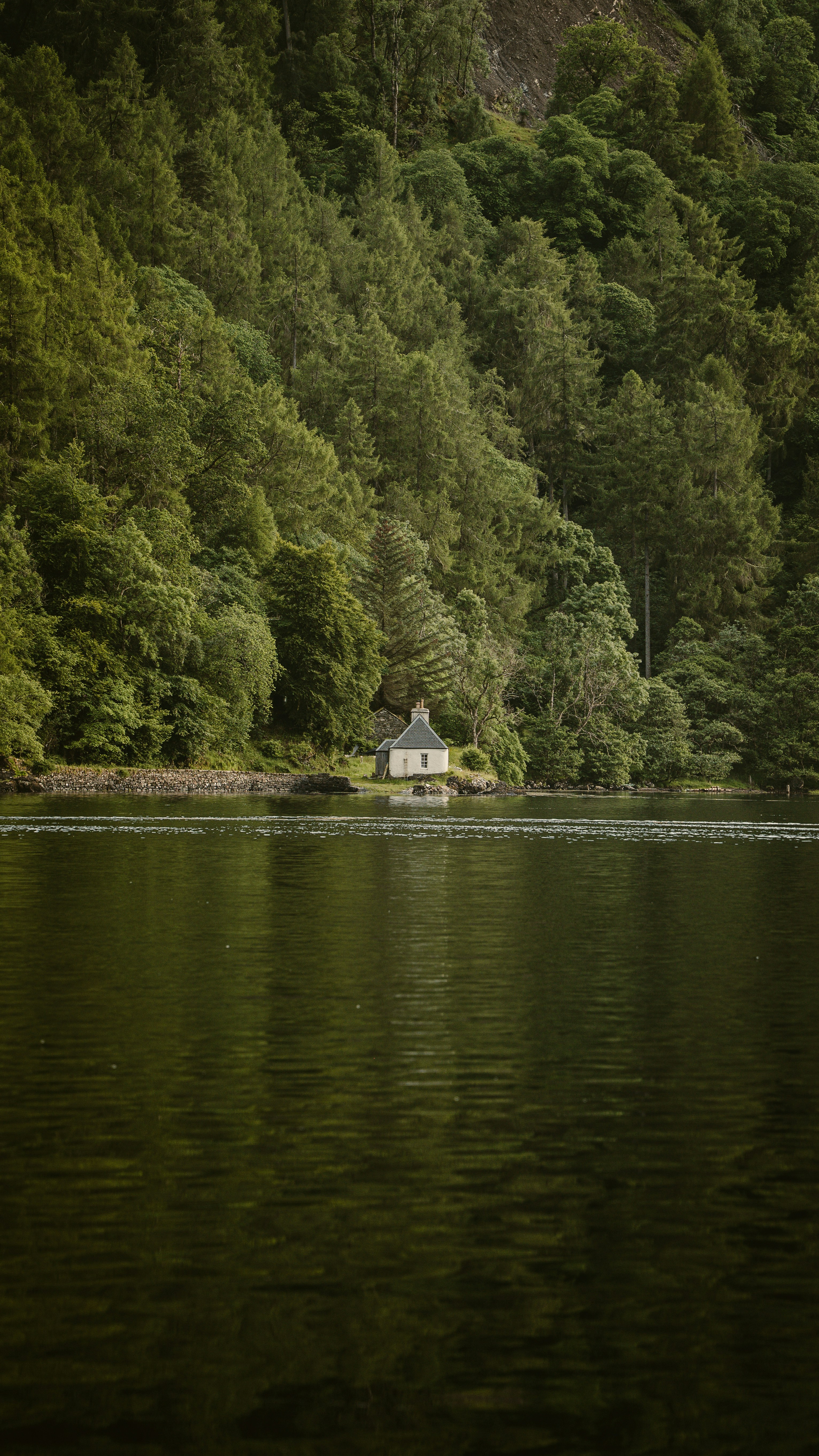 Small white building by a lake with forest background.