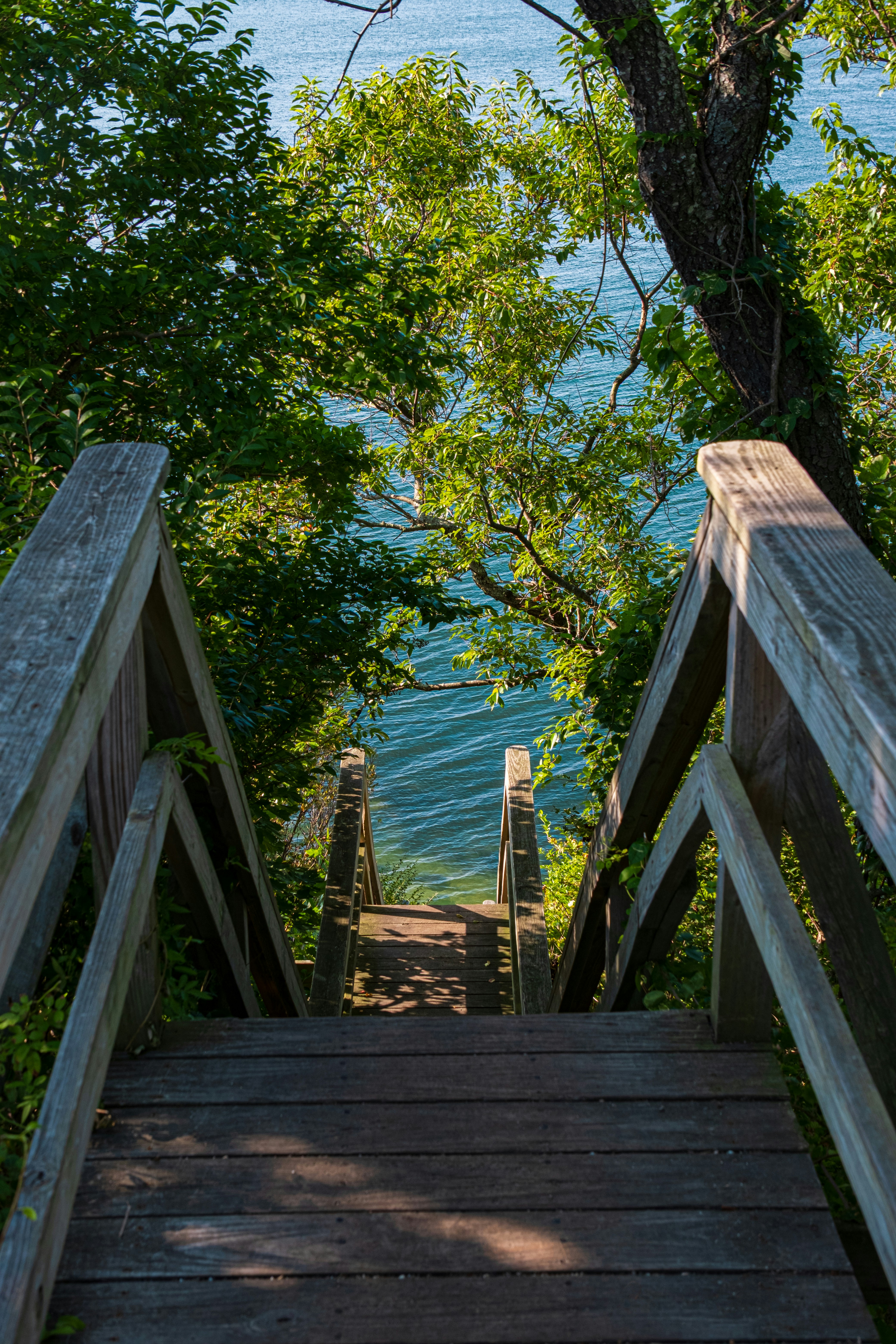 Journey to Tranquility: Steps to the Water's Edge