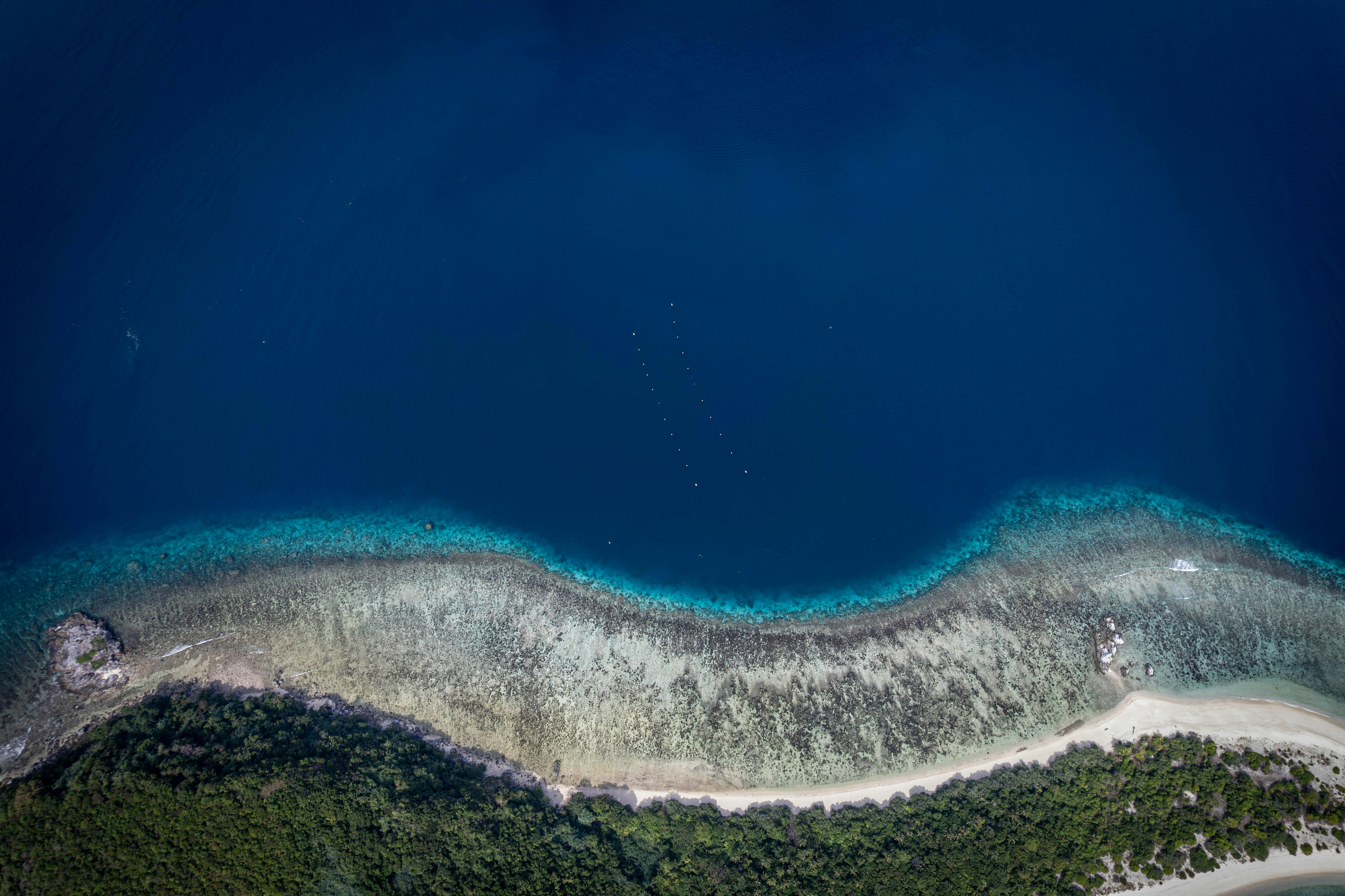 Aerial view of a lush island coastline and turquoise reef photo – Free ...