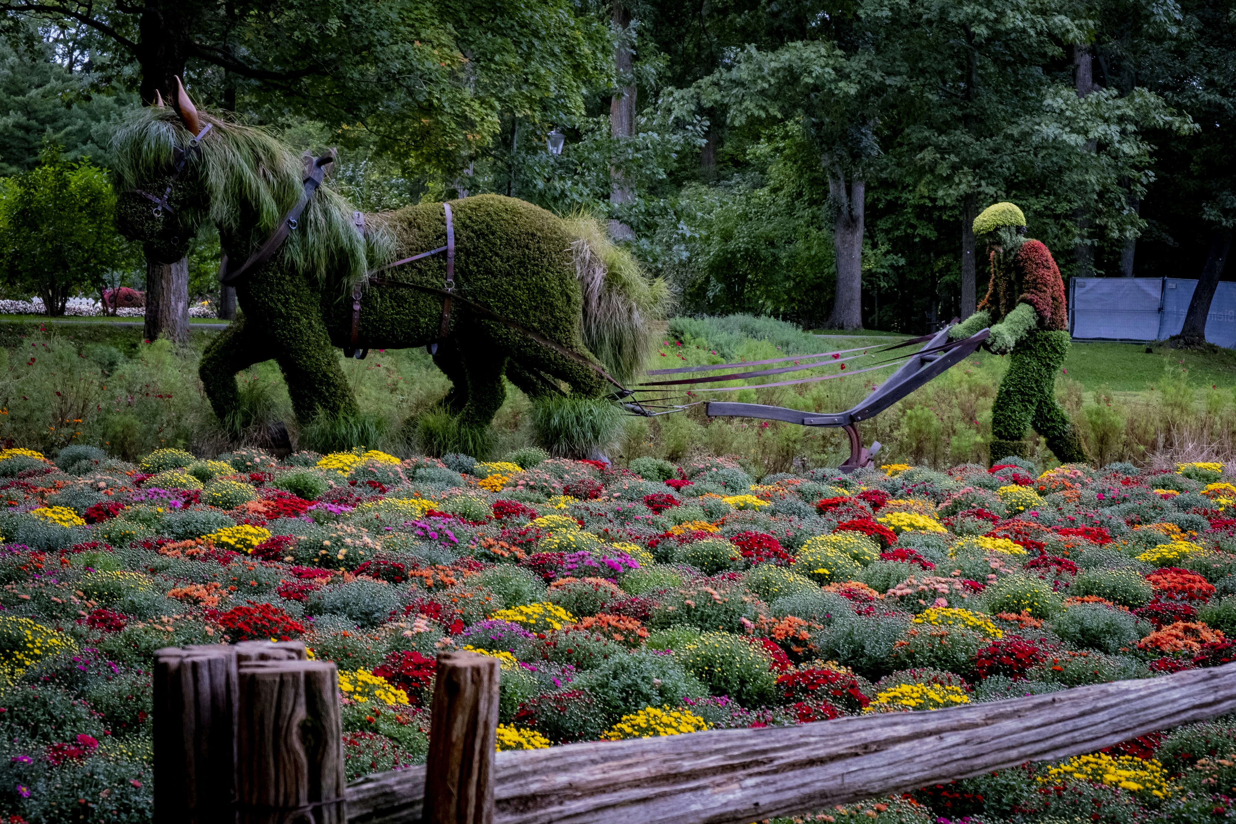 Topiary Lamor and the Garden Blade